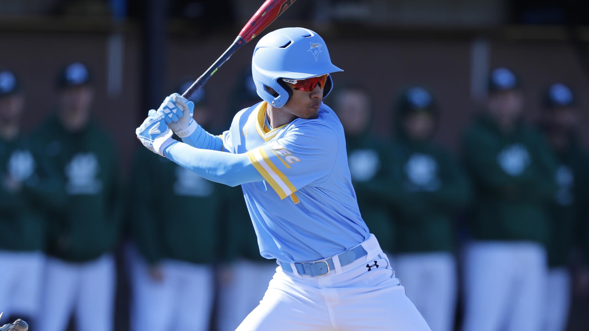 Long Island University Athletics