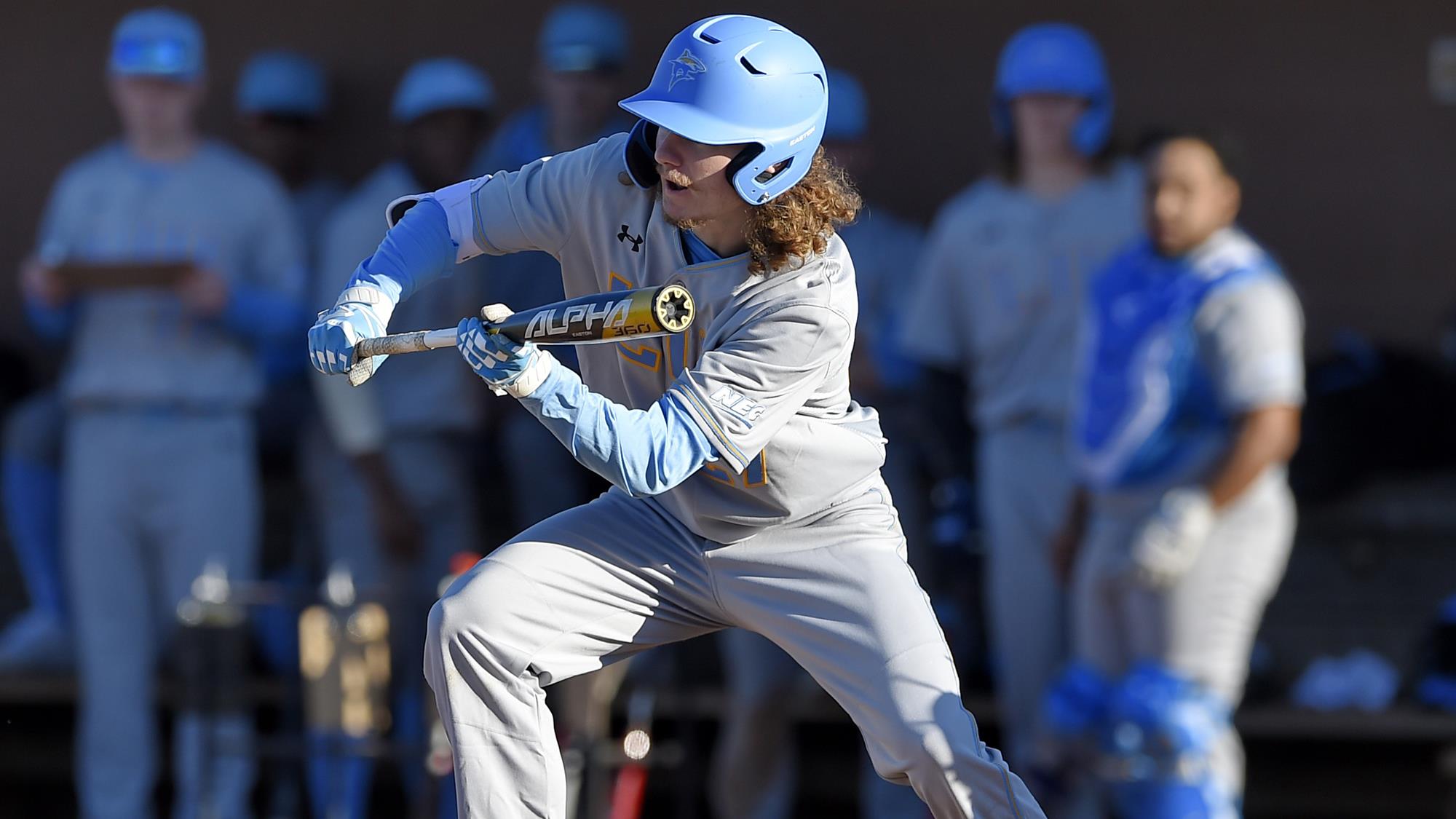 Long Island University Athletics