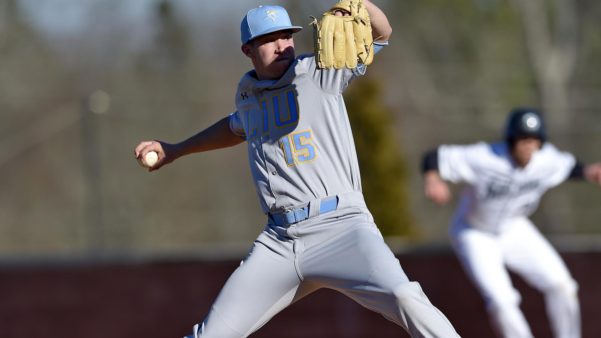 Long Island University Athletics
