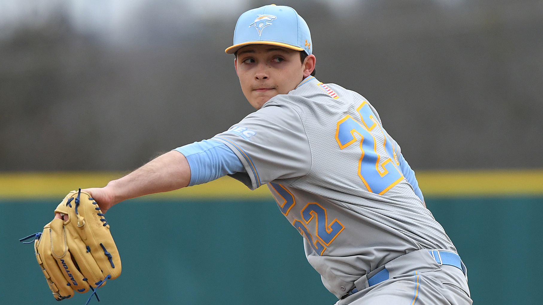 Long Island University Athletics