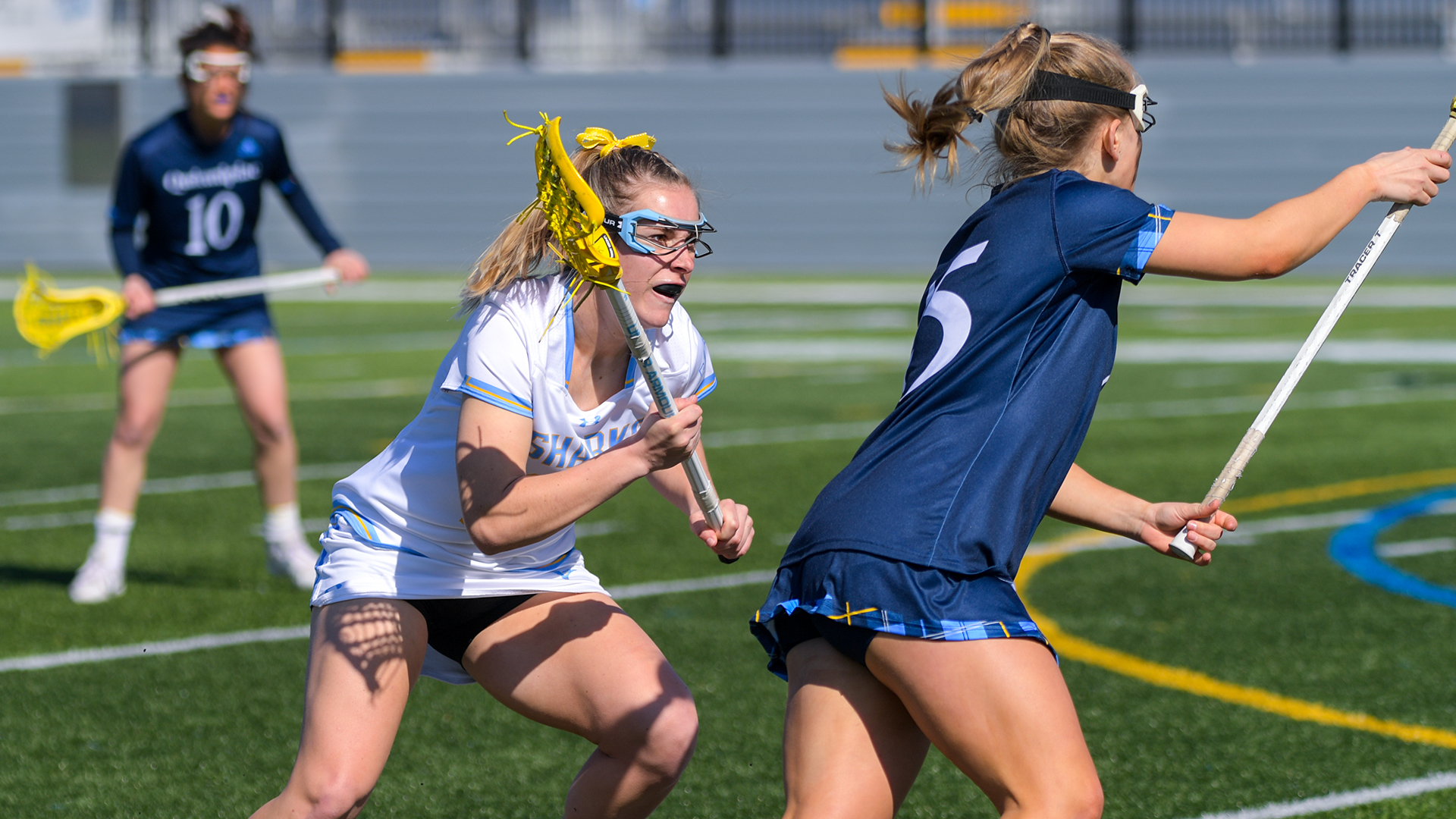 Long Island University Athletics