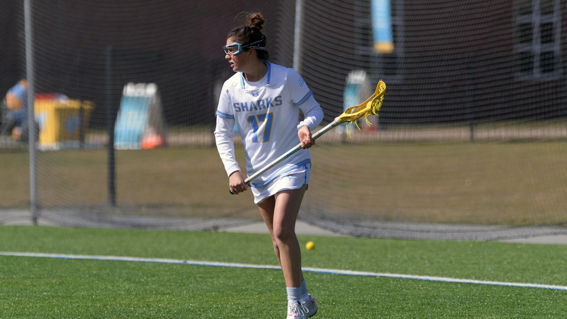 Long Island University