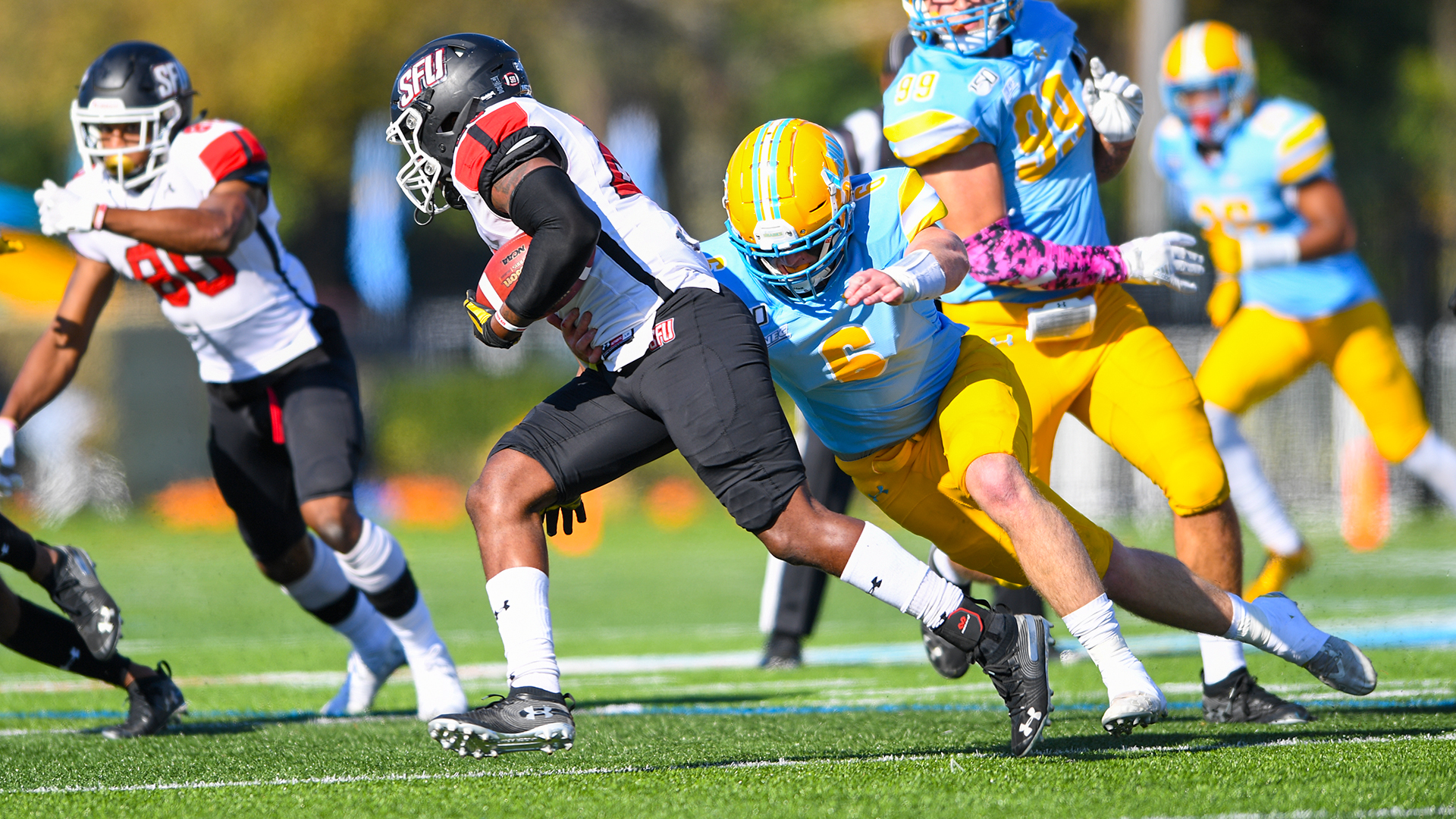 Long Island University Athletics