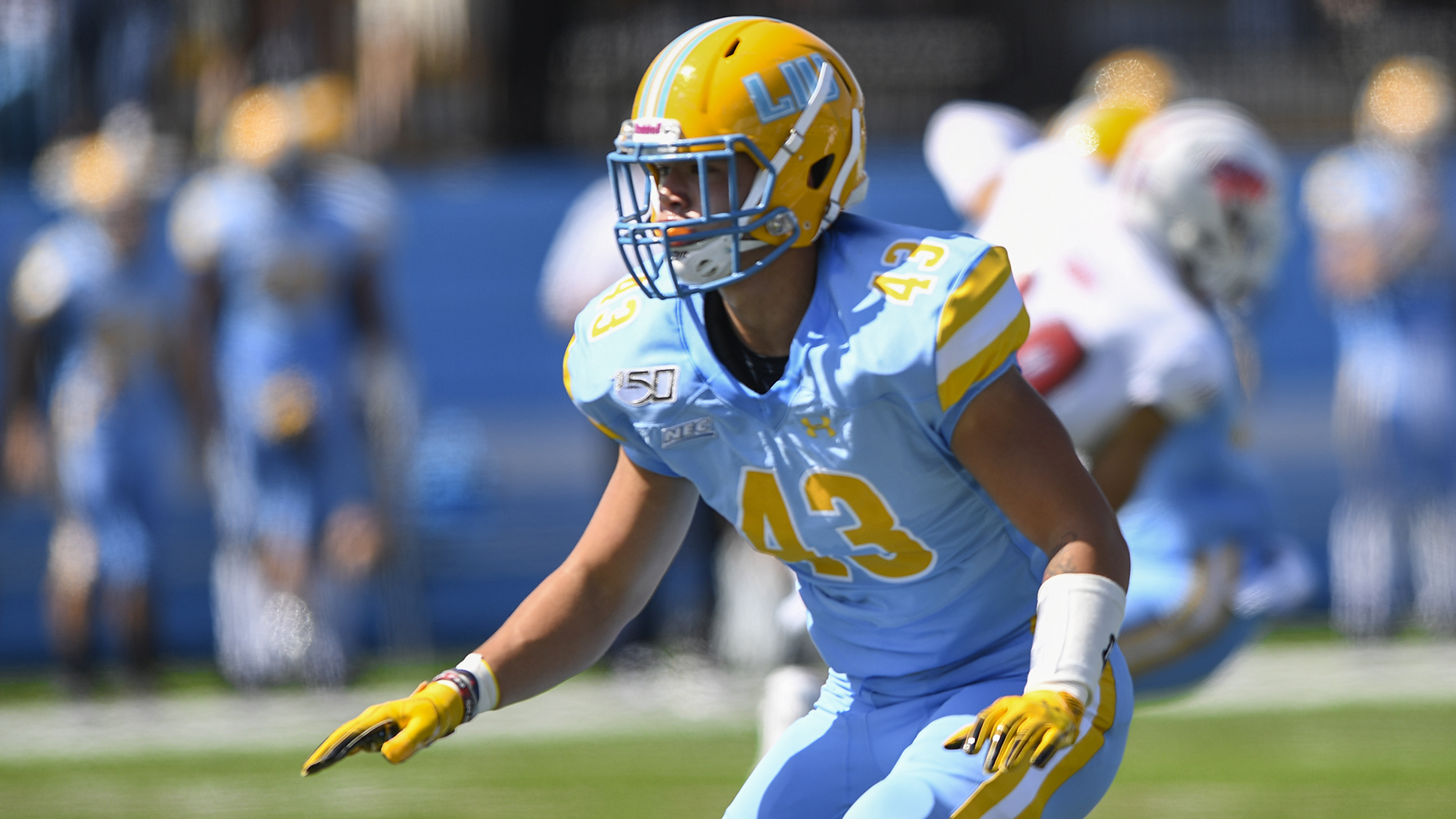 Long Island University Athletics