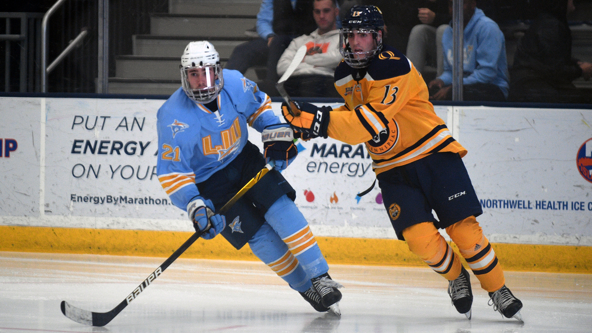 Long Island University Athletics