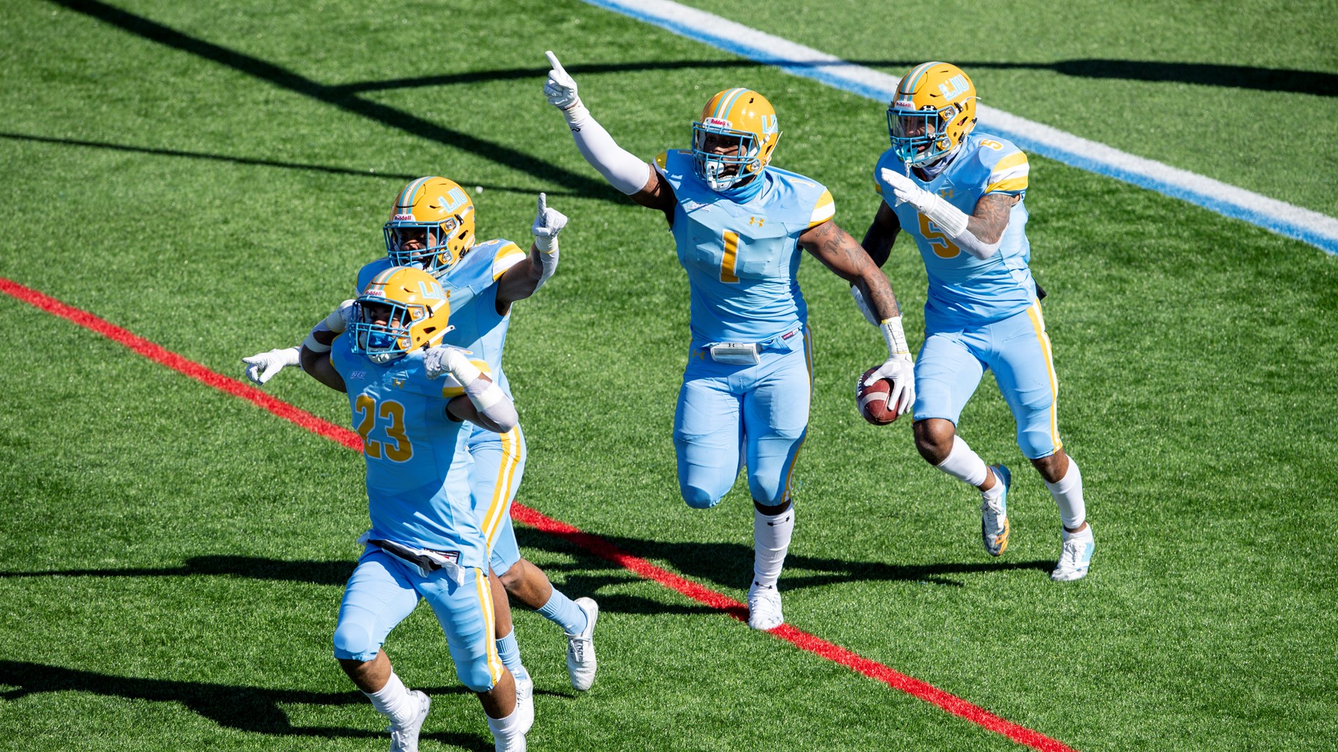 Long Island University