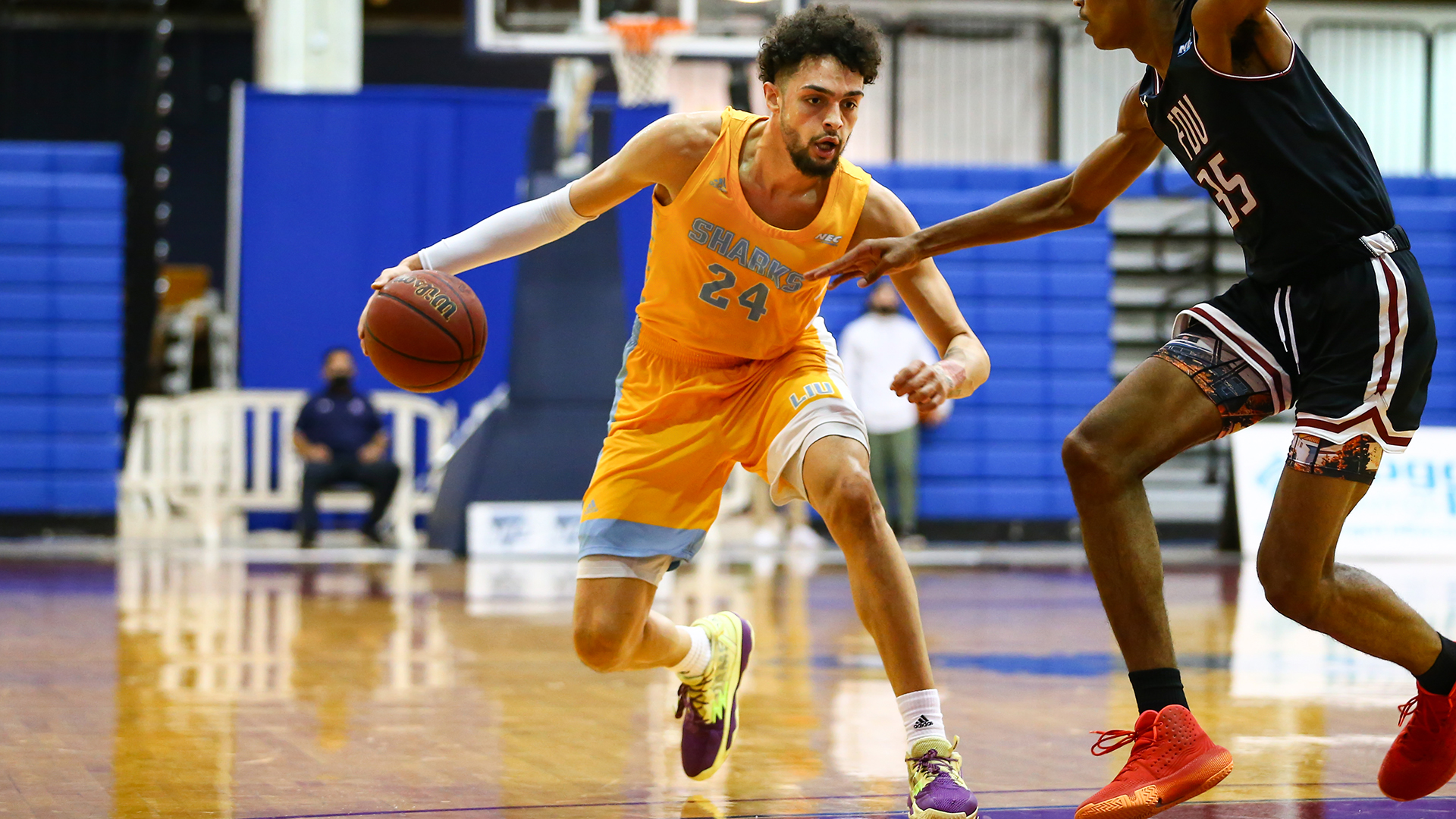 Long Island University Athletics