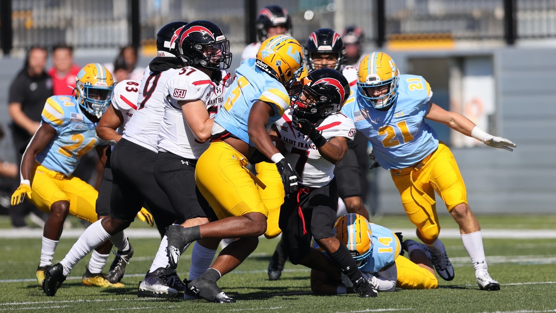 Long Island University Athletics