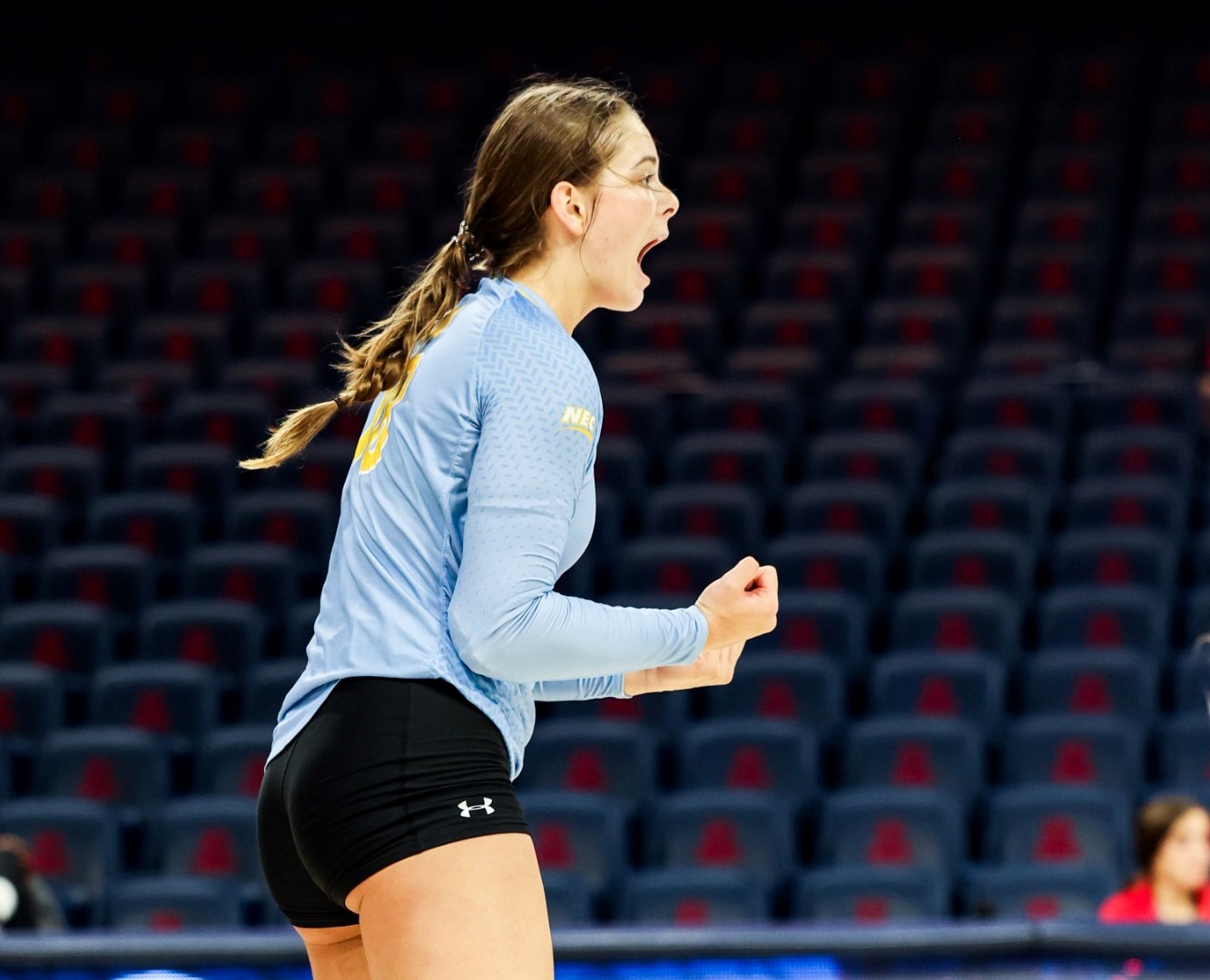 Long Island University Athletics