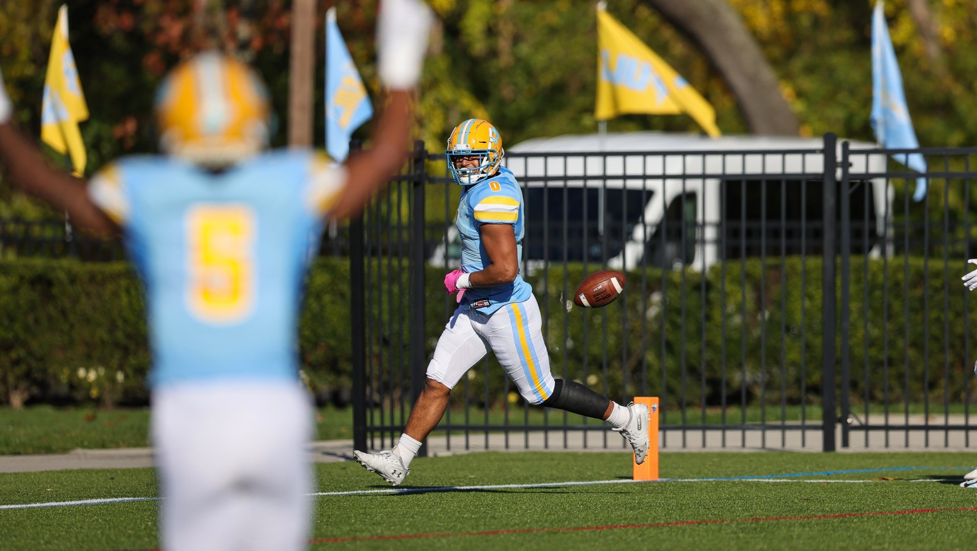 Long Island University Athletics