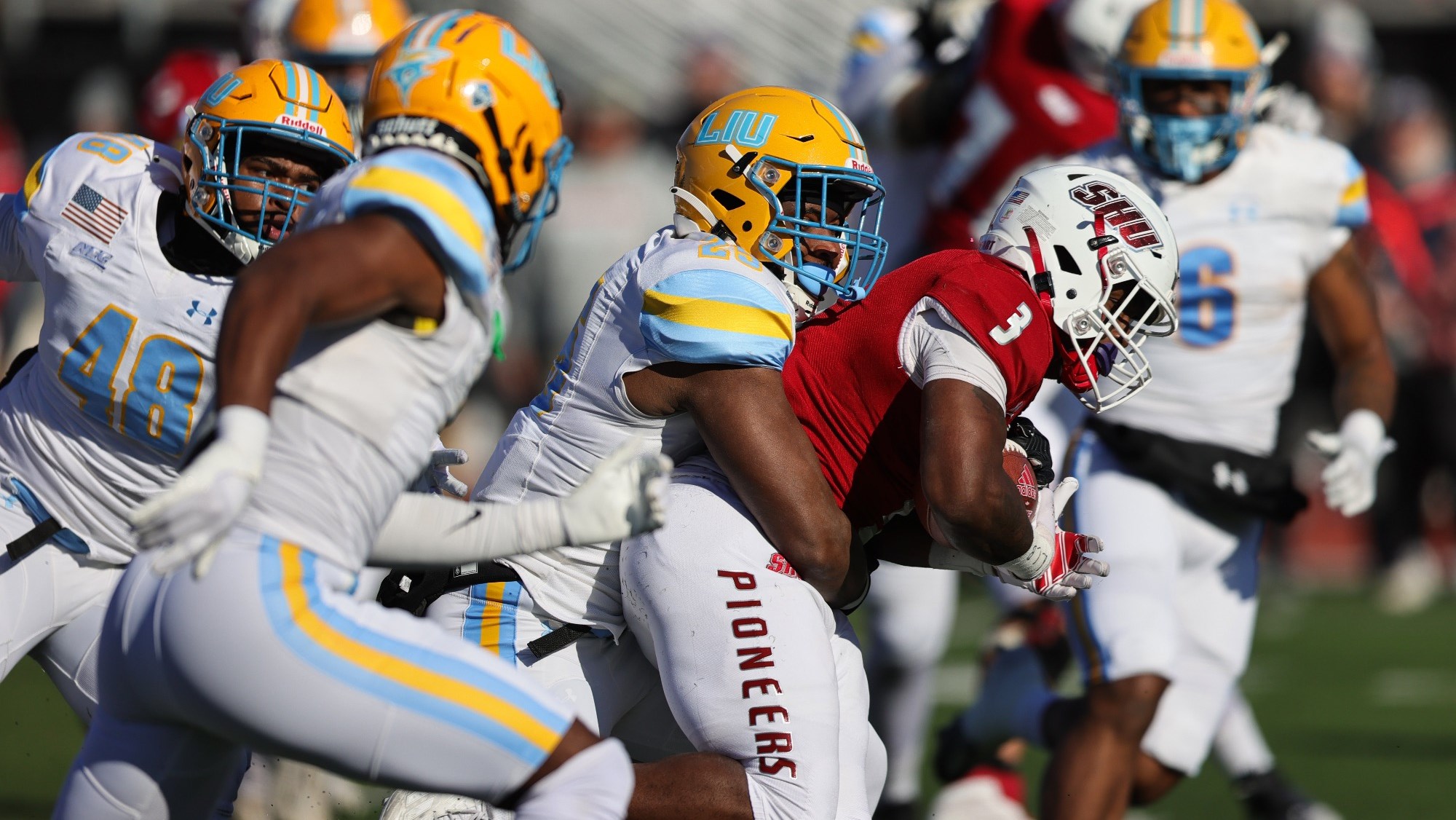 Long Island University Athletics