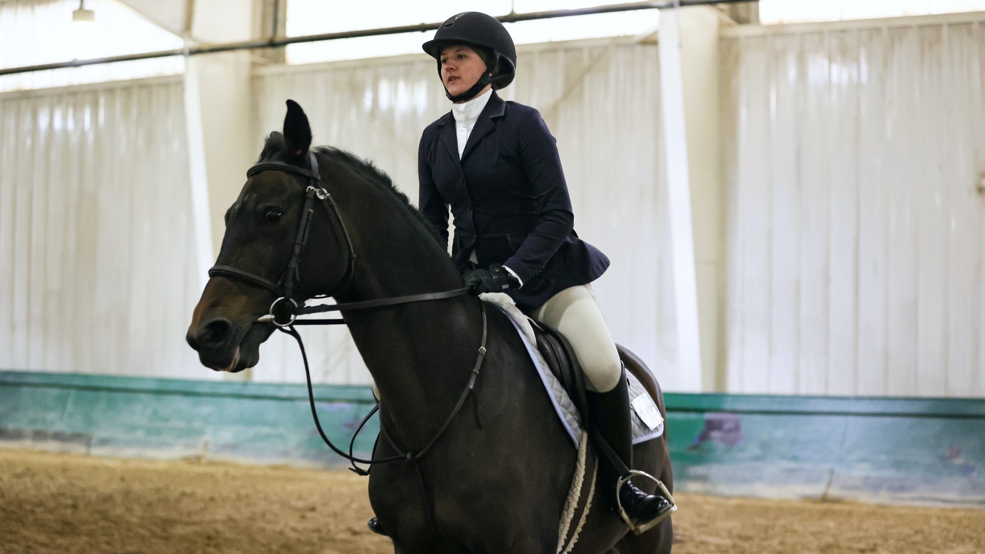 Long Island University Athletics