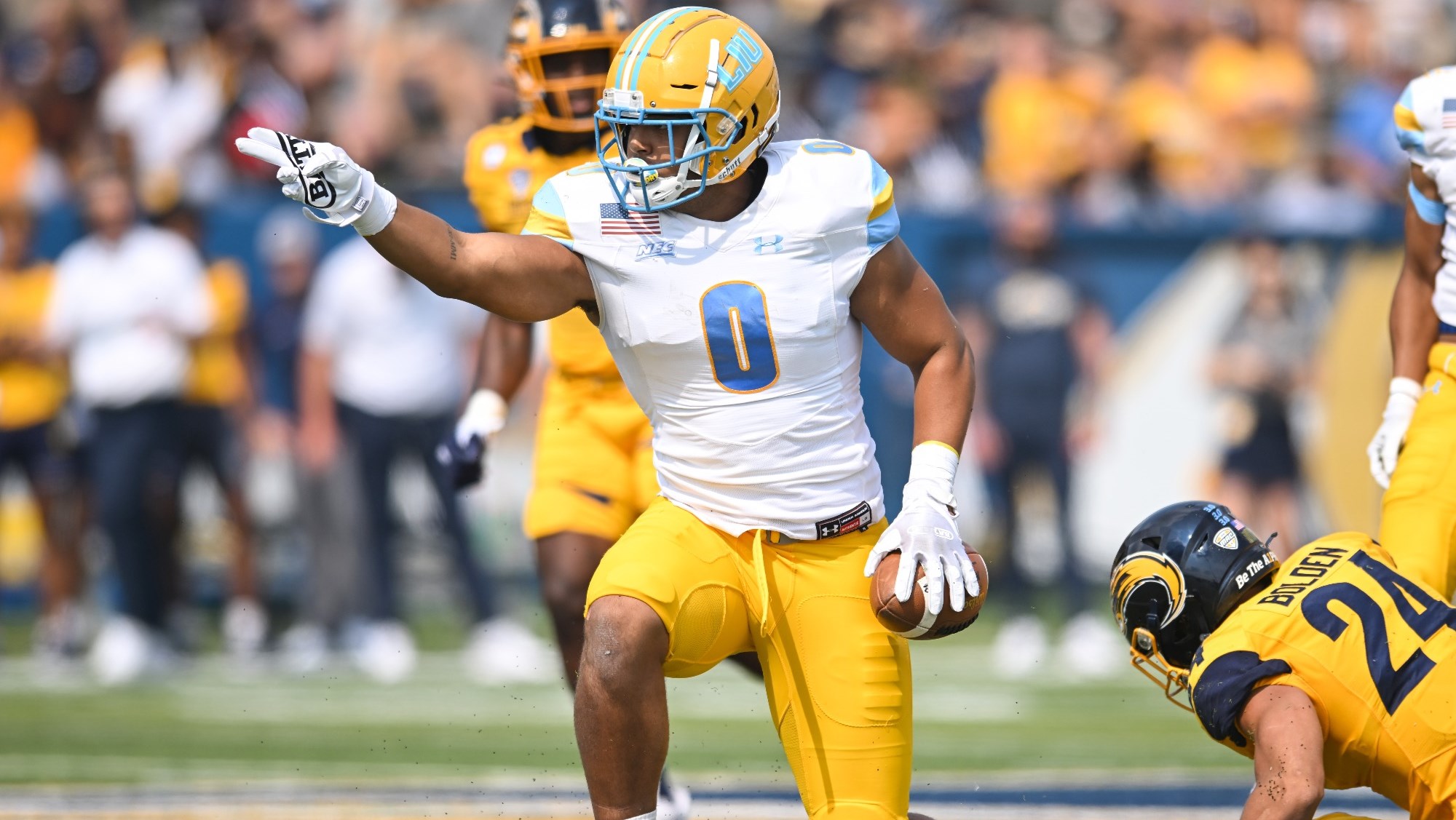 Long Island University Athletics