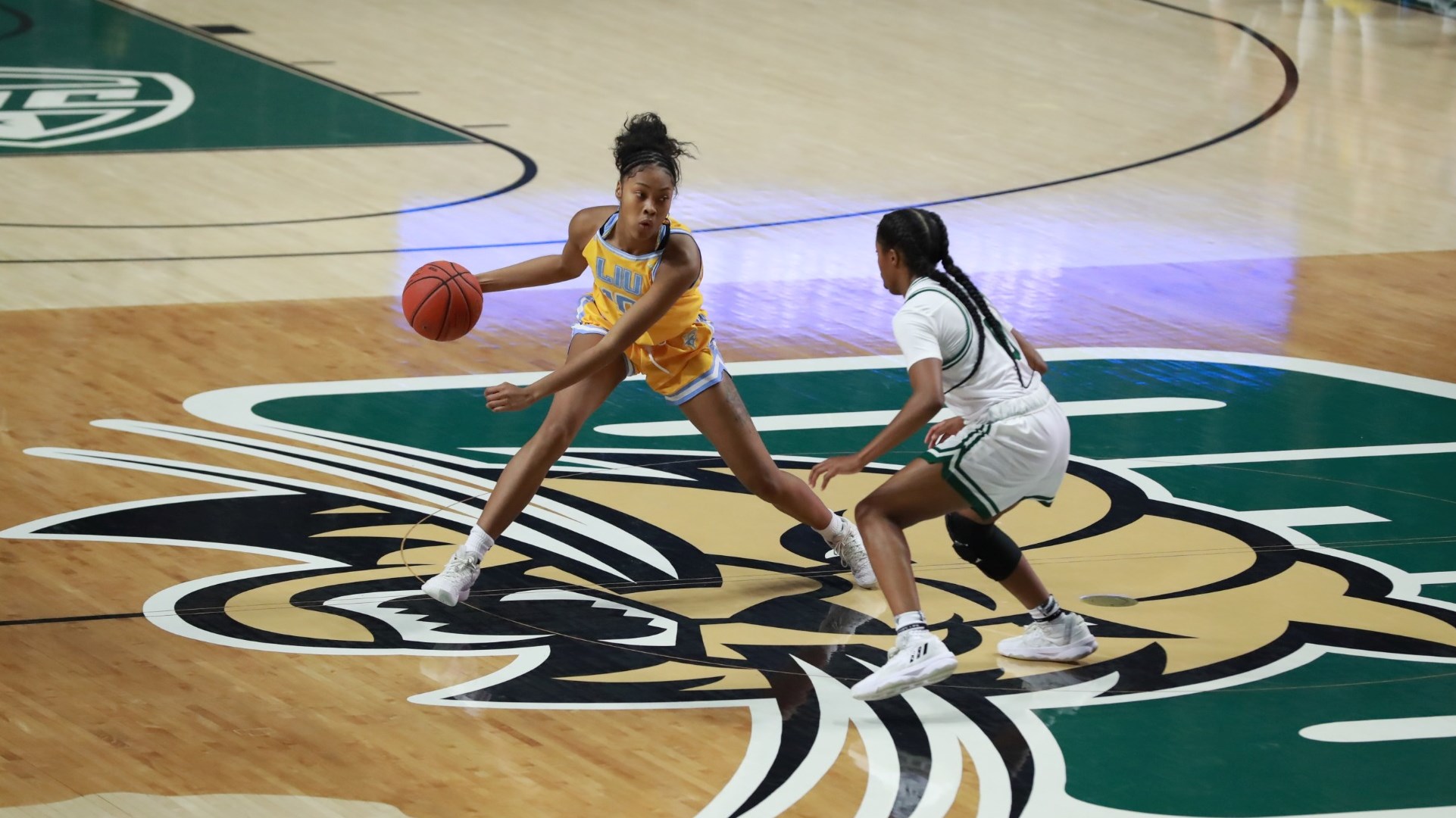 Long Island University Athletics