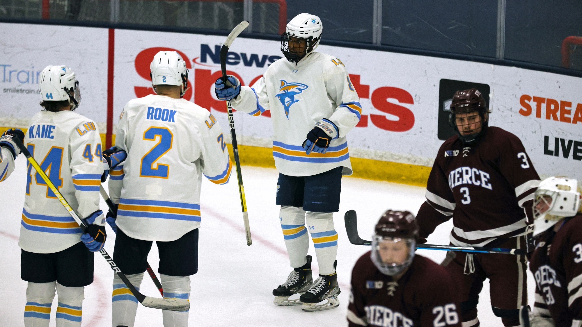 Long Island University Athletics