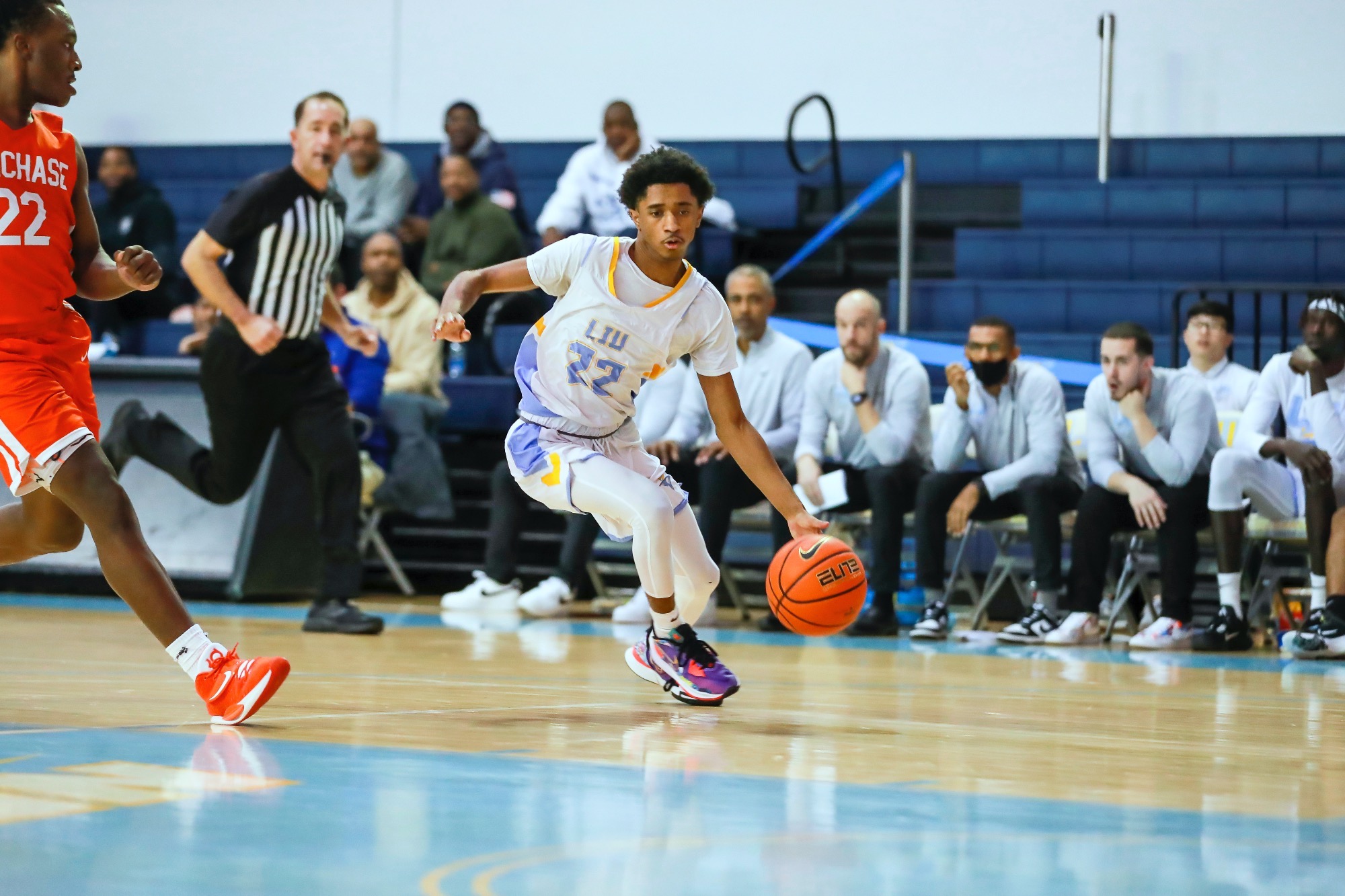 Long Island University Athletics