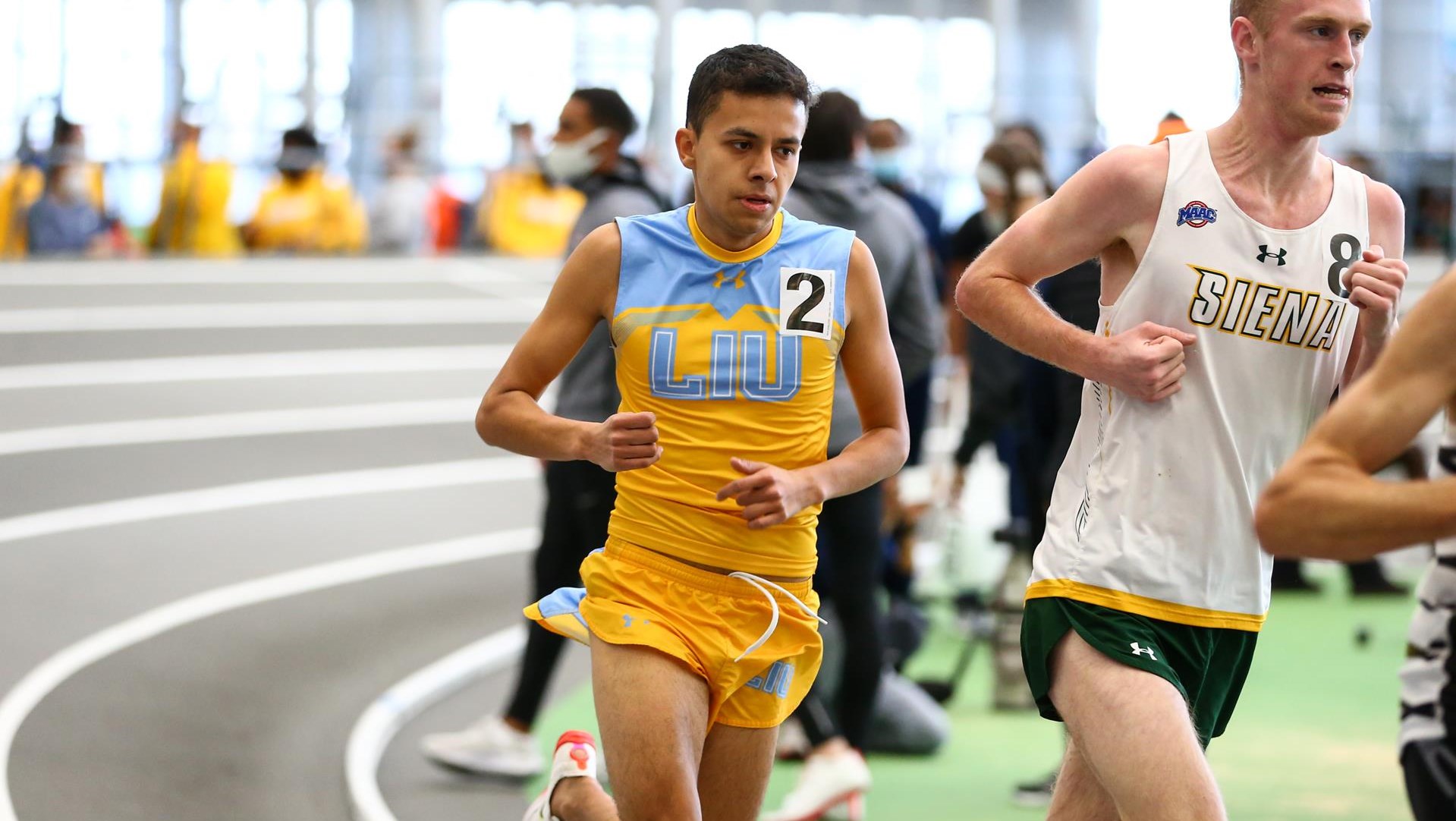 Long Island University Athletics