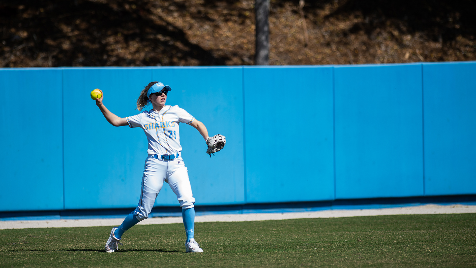 Long Island University Athletics