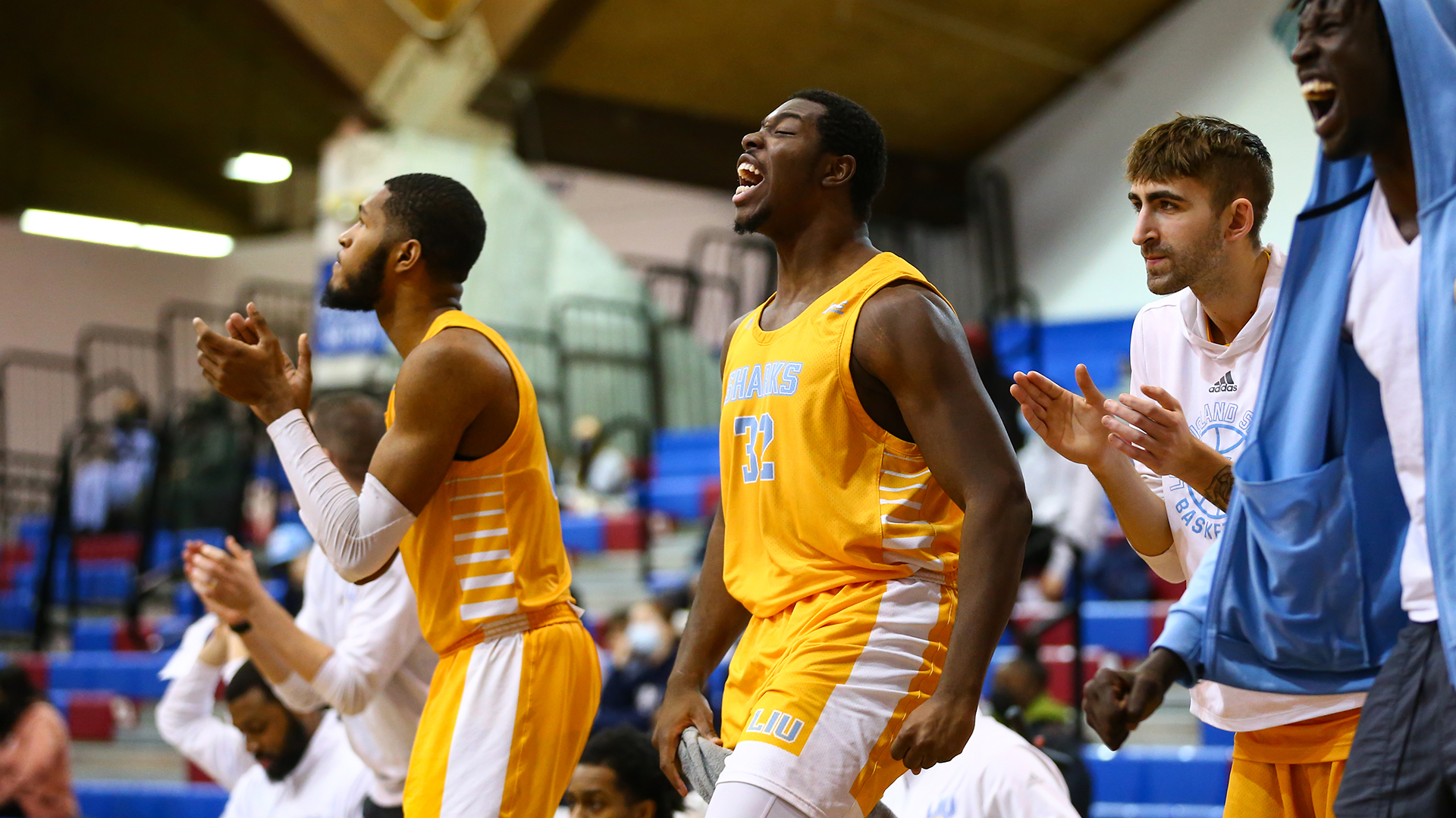 Long Island University Athletics