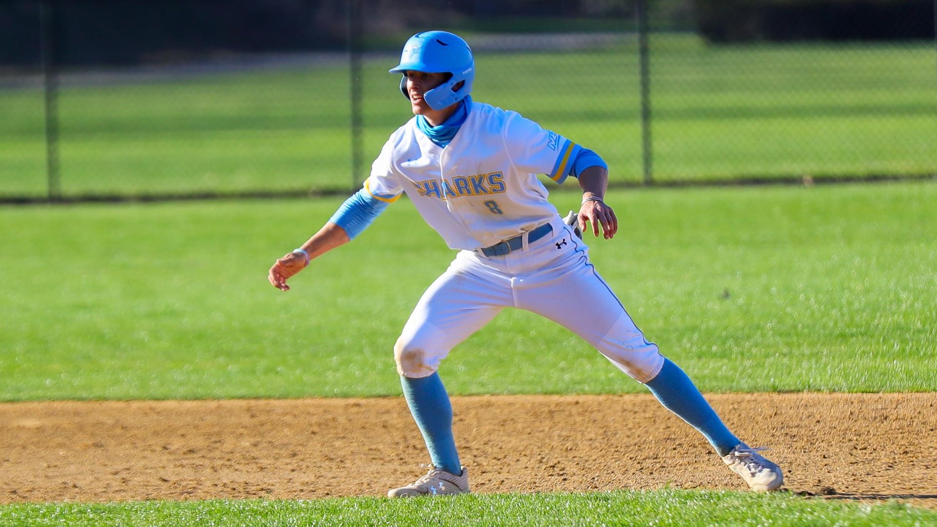 Long Island University Athletics