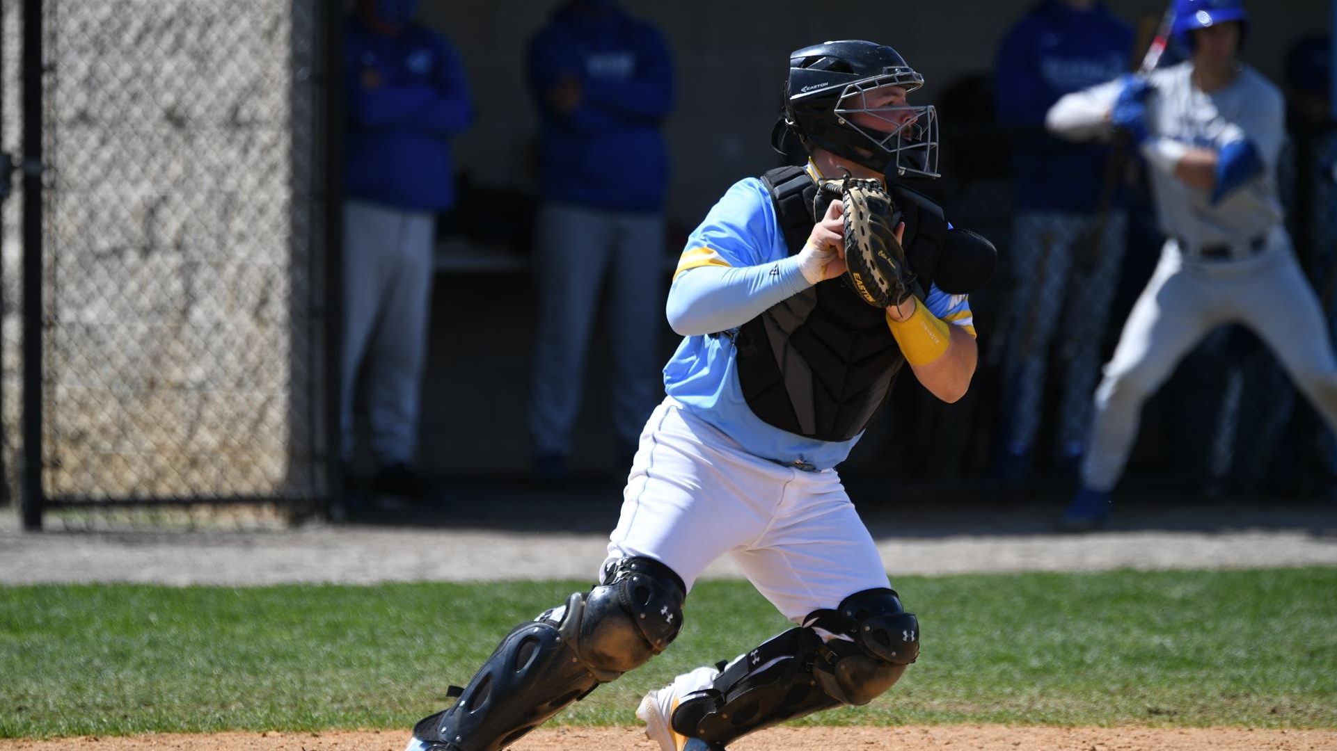 Long Island University Athletics