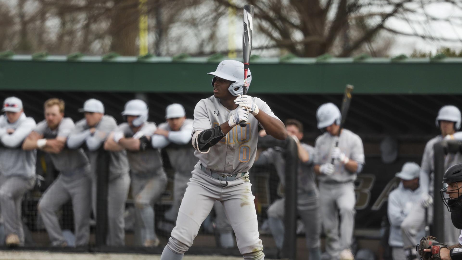 Long Island University