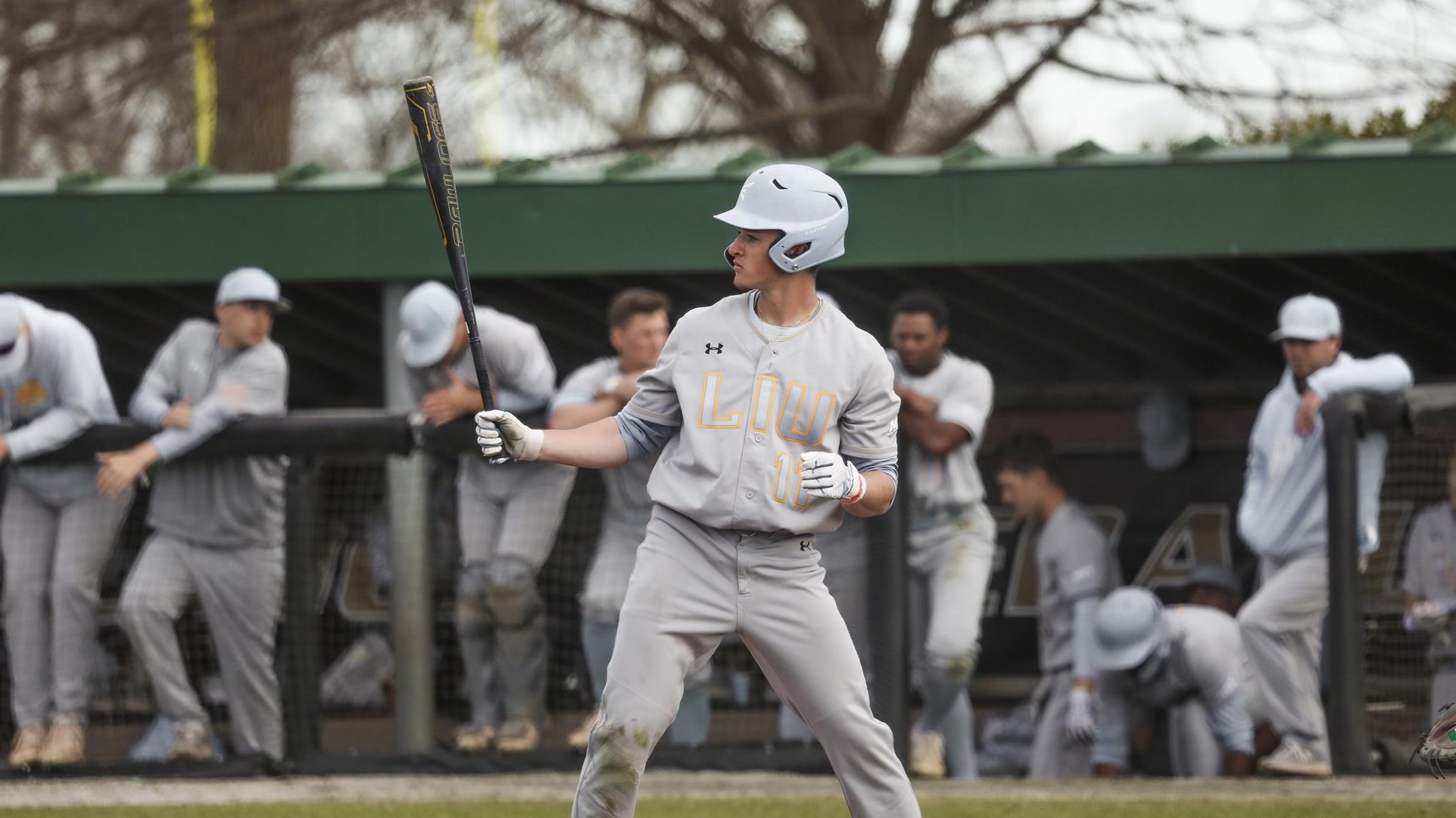 Long Island University Athletics