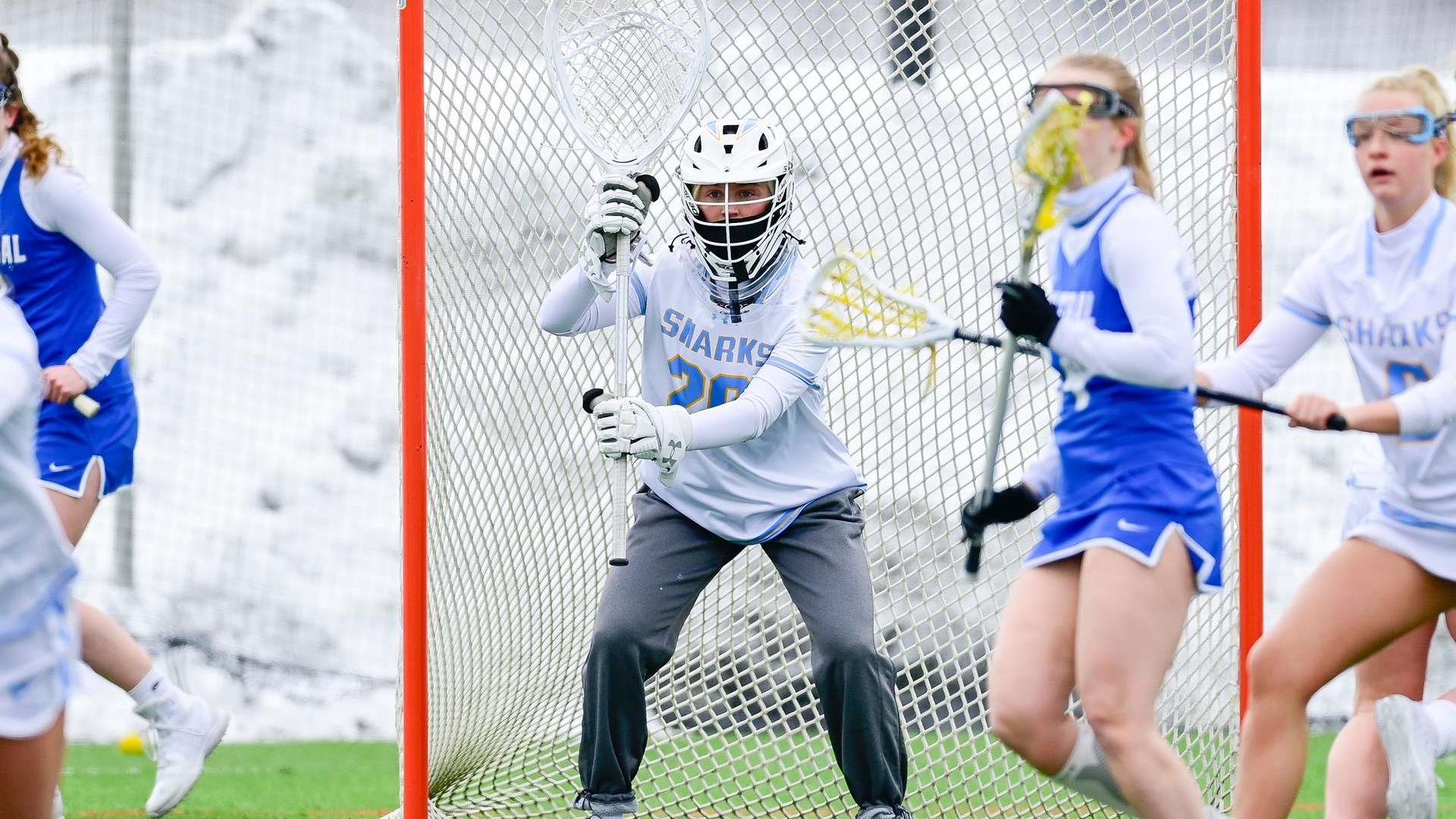 Long Island University Athletics