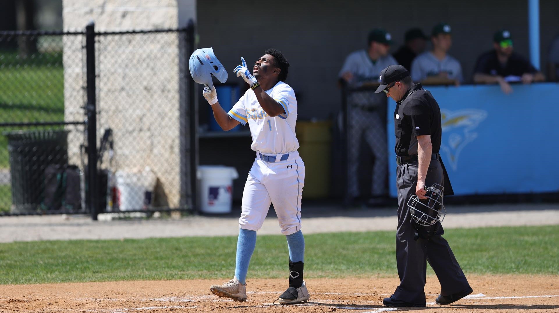 Long Island University Athletics