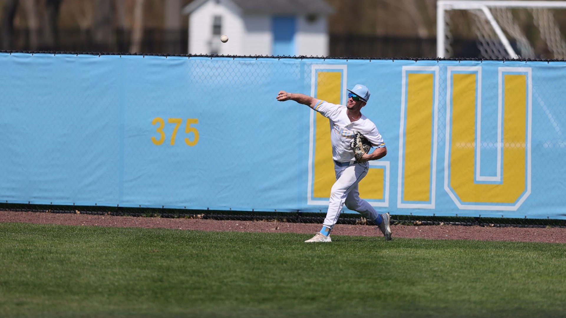 Long Island University Athletics