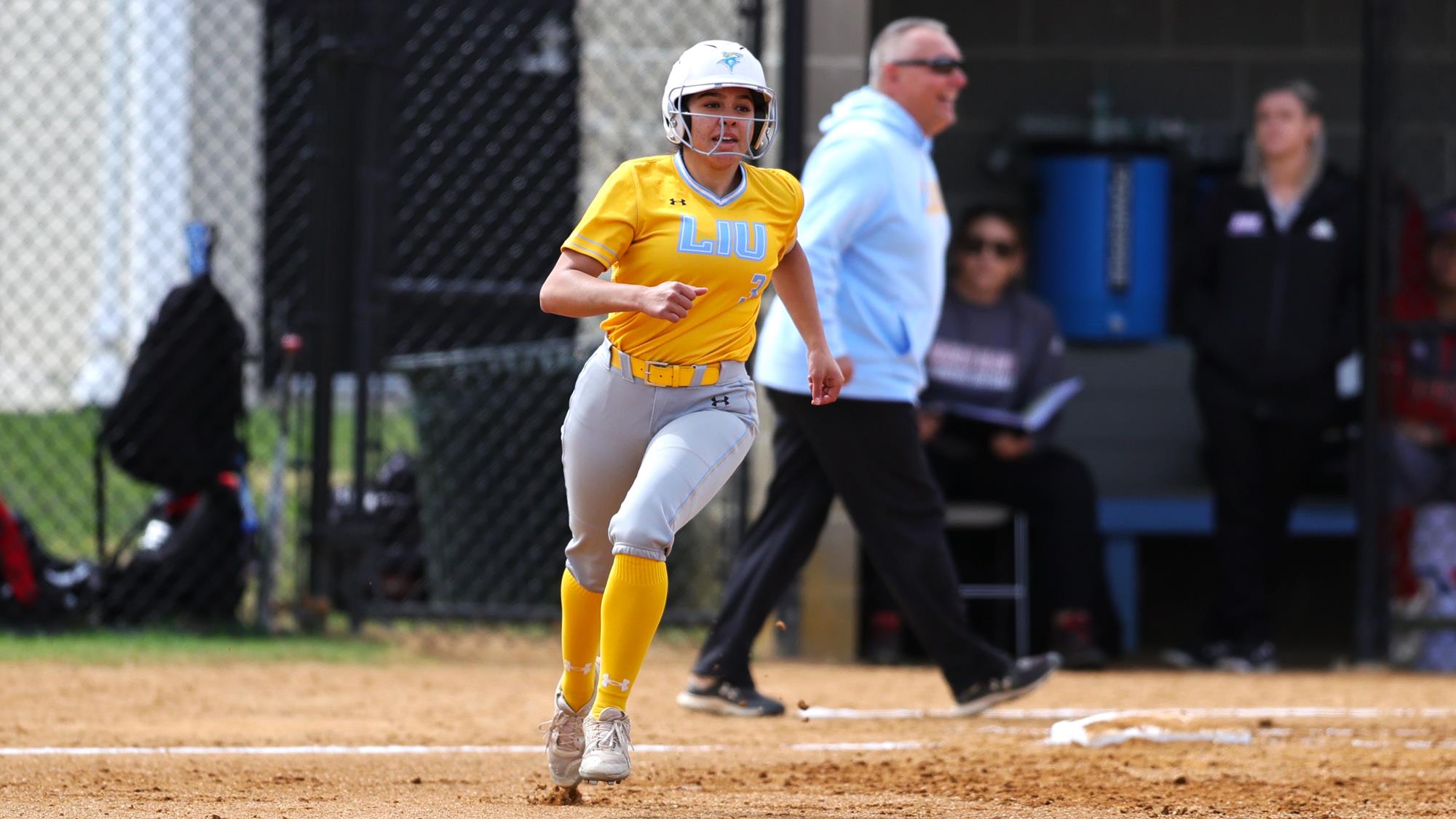 Long Island University Athletics