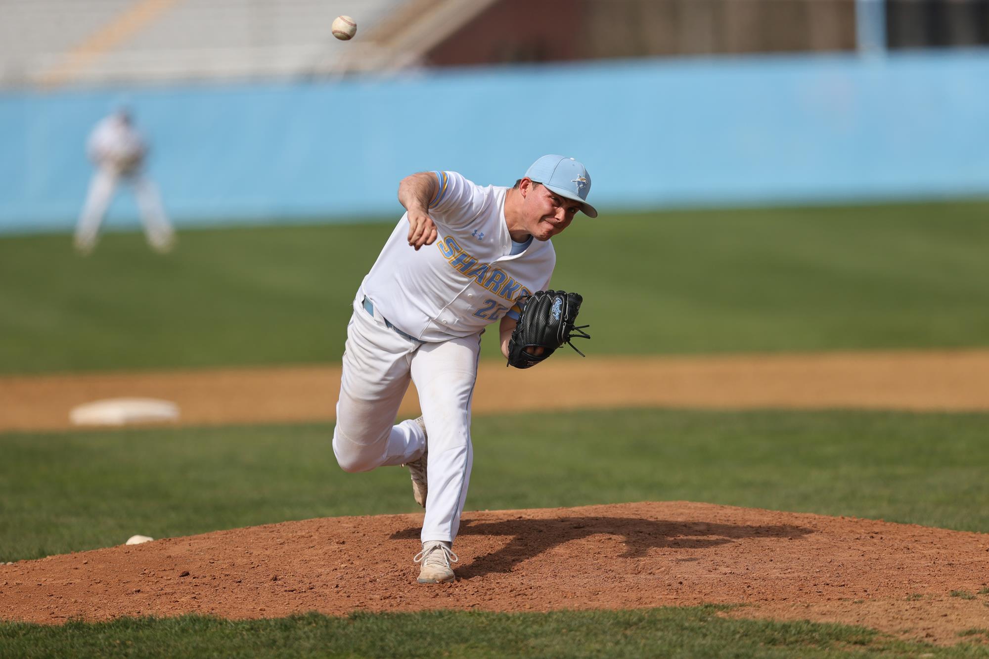 Long Island University Athletics