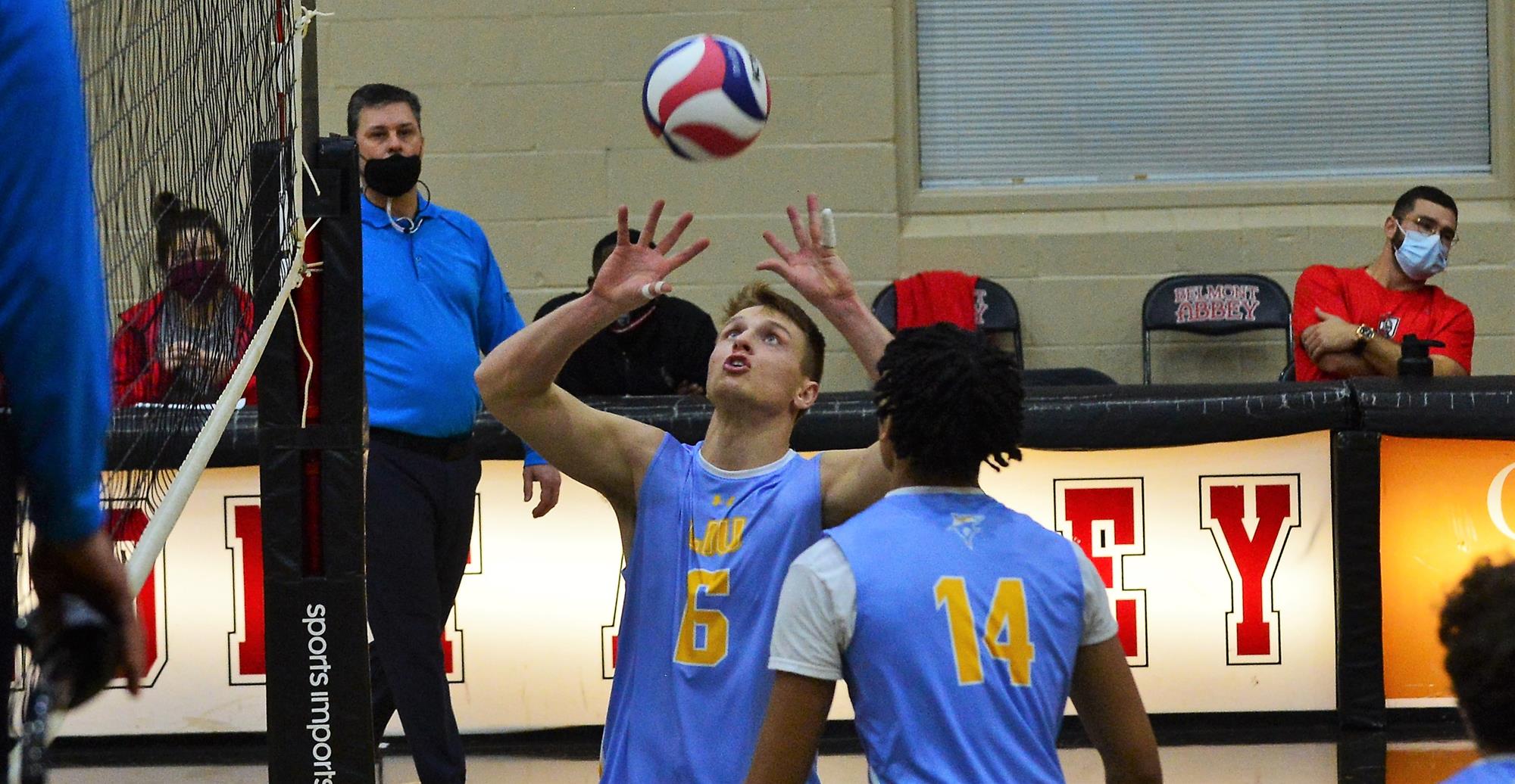 Long Island University Athletics