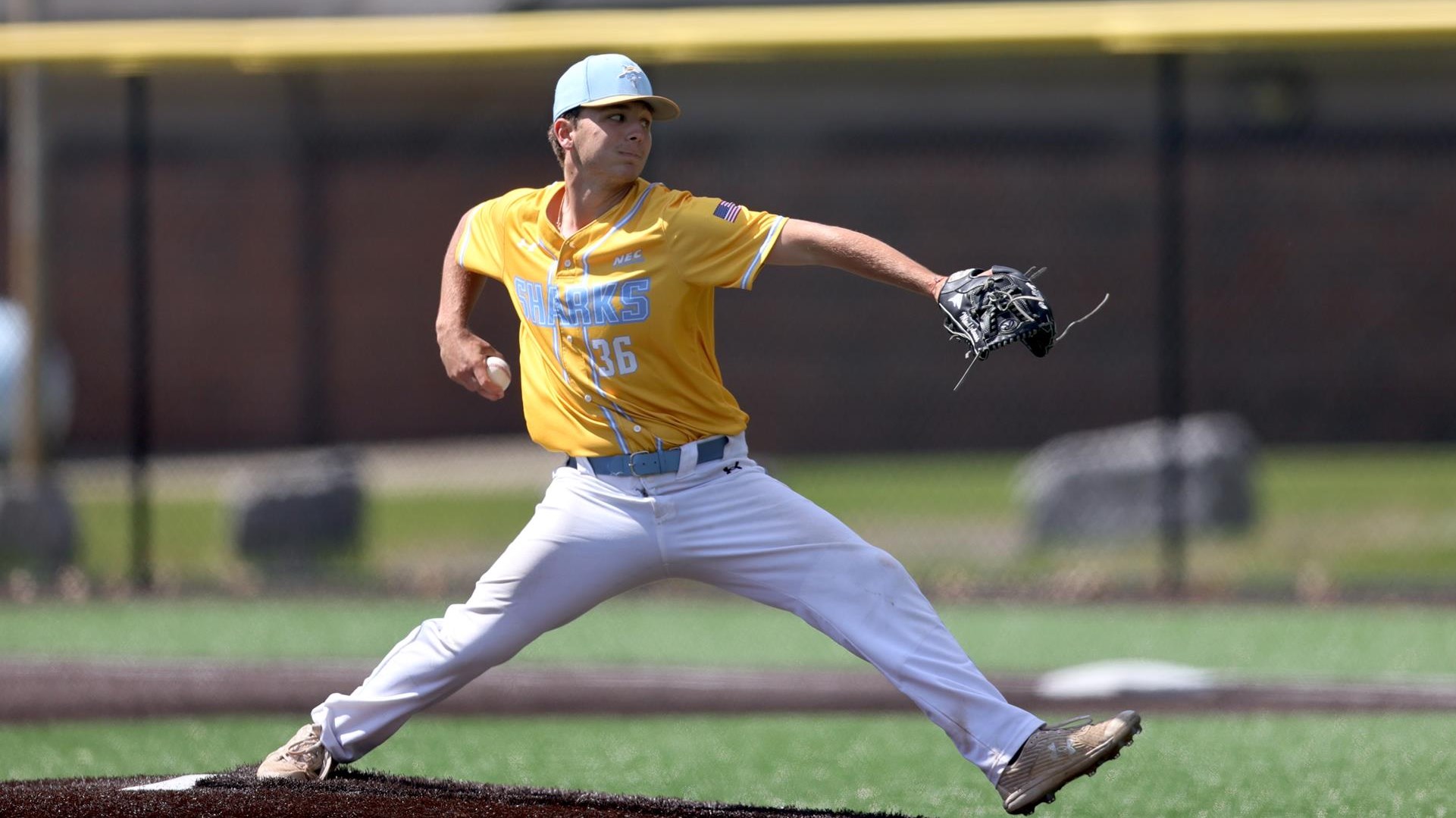 Long Island University Athletics