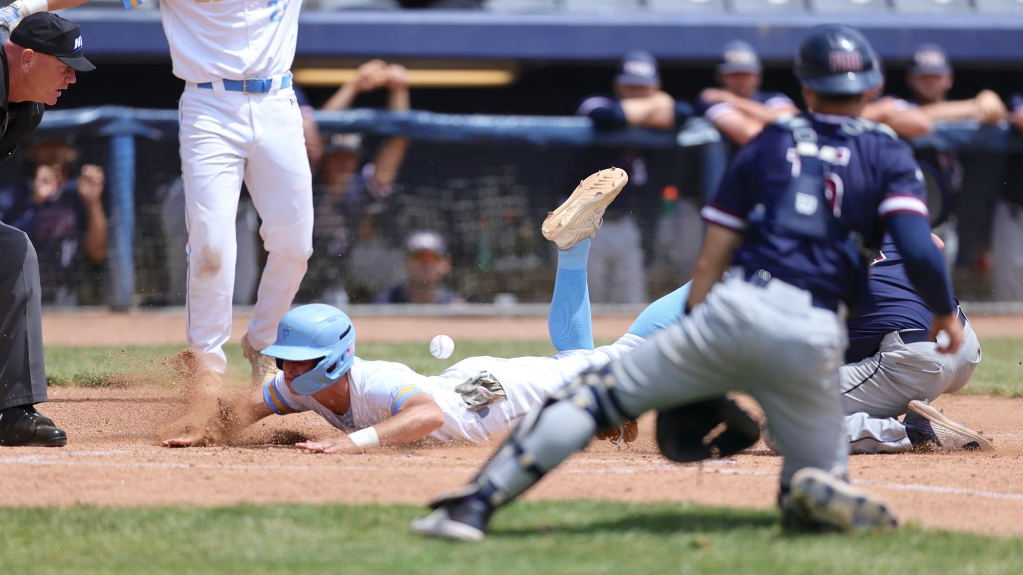 Long Island University Athletics