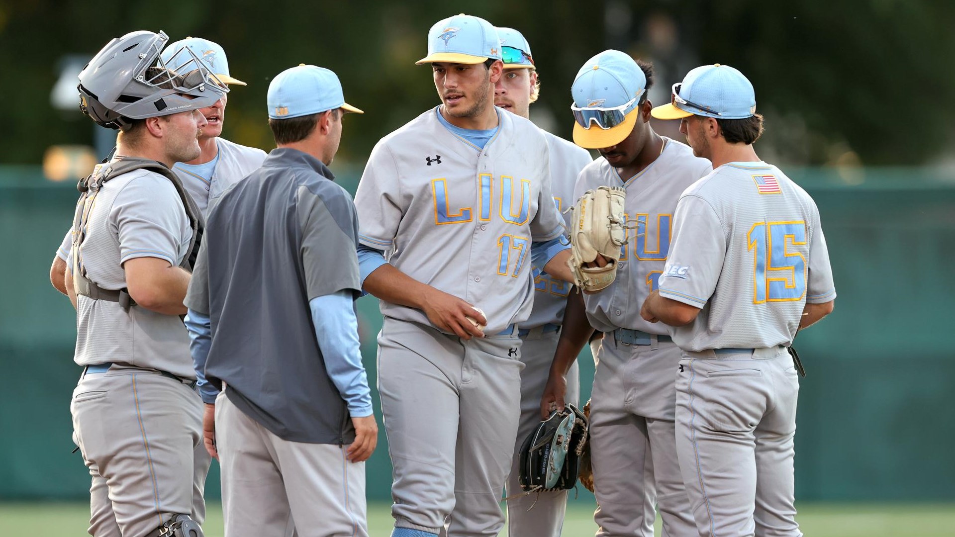 Long Island University Athletics