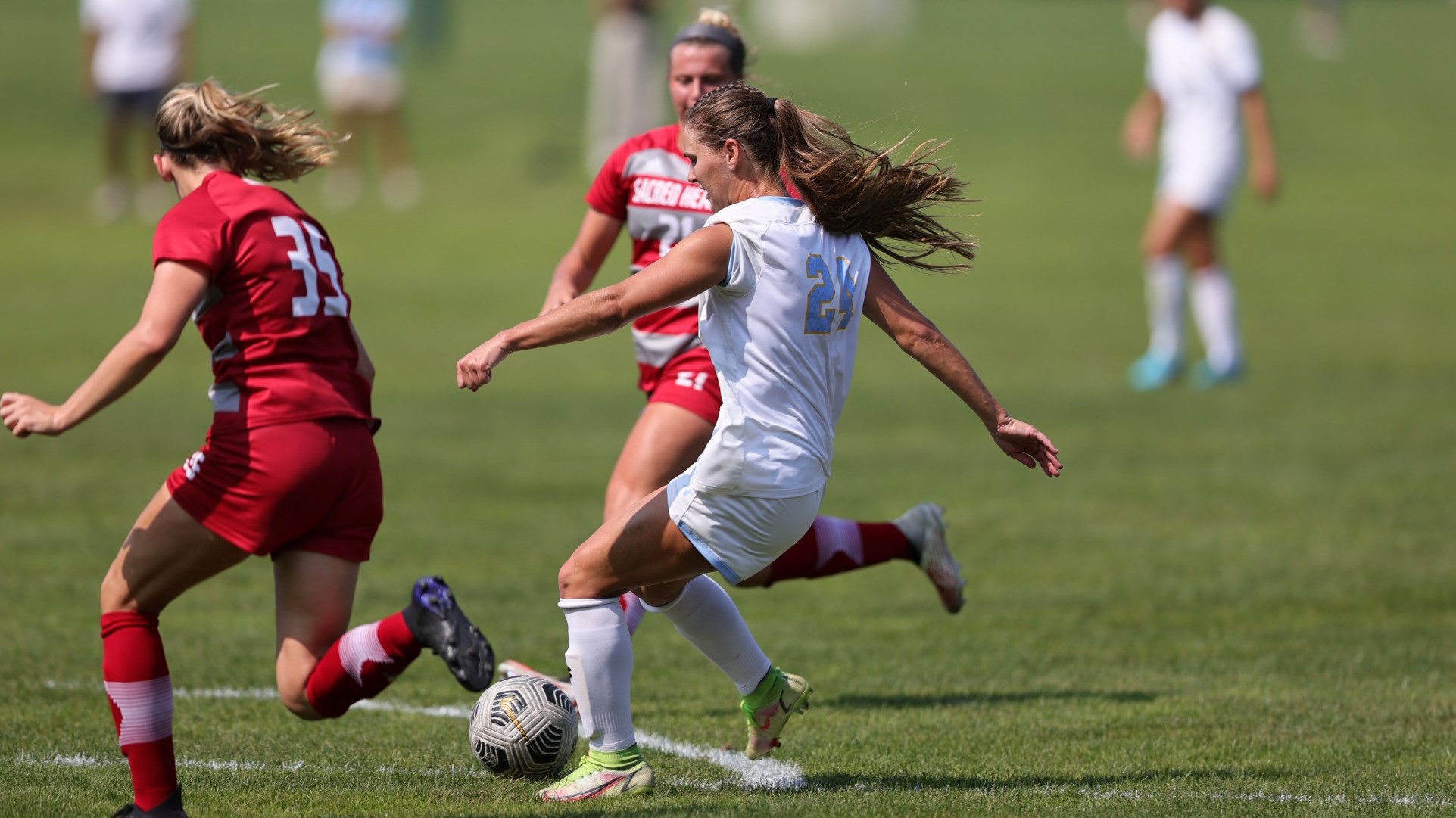 Long Island University Athletics