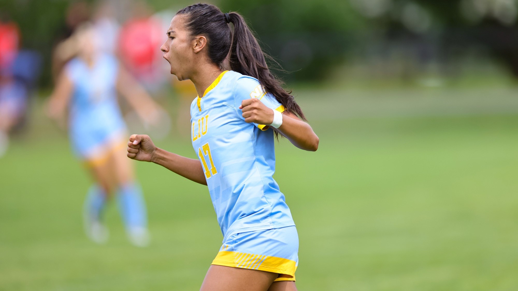 Long Island University Athletics