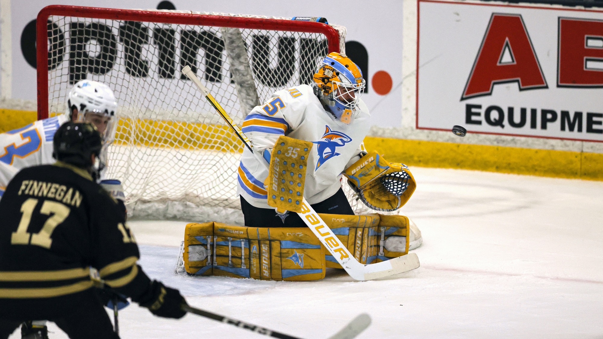 Long Island University