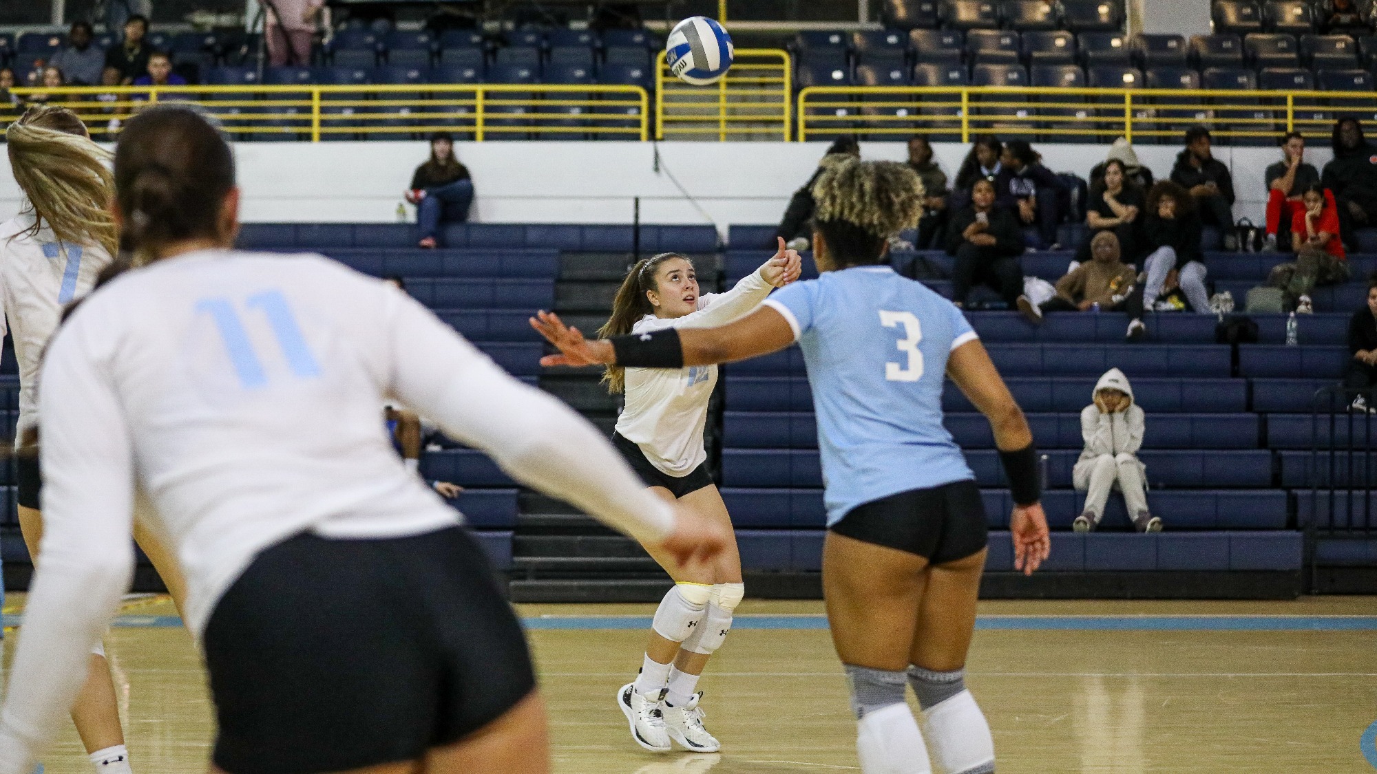 Long Island University Athletics