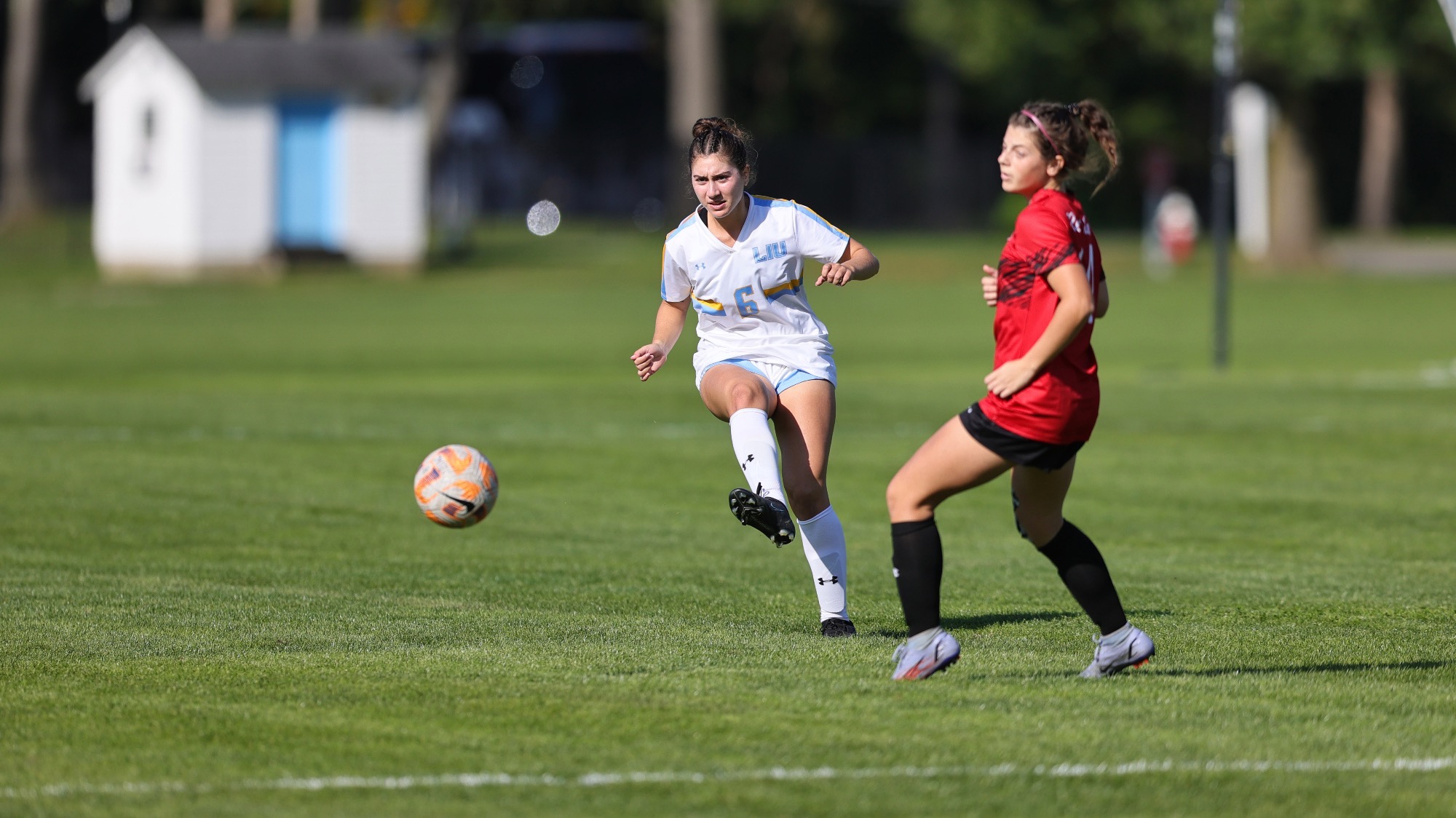 Long Island University Athletics