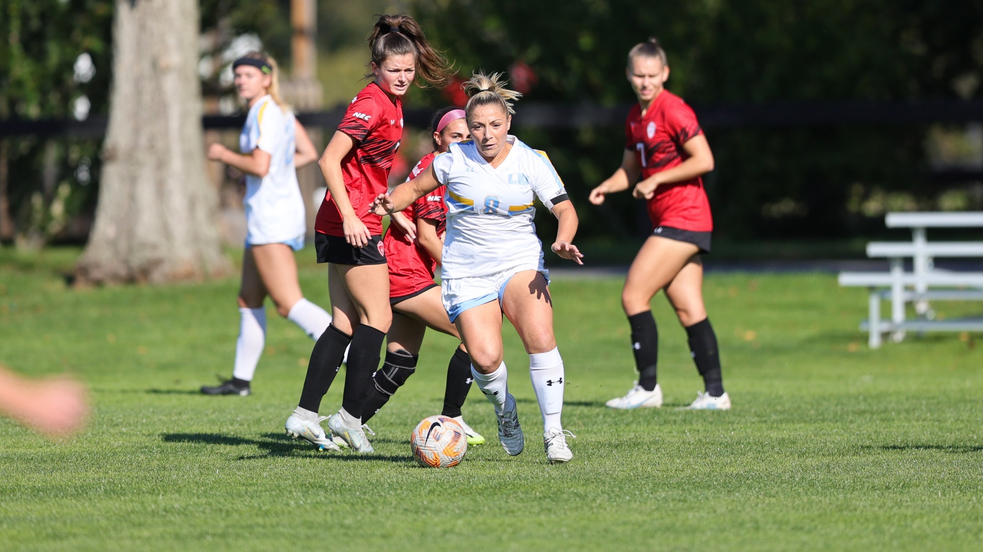 Long Island University Athletics