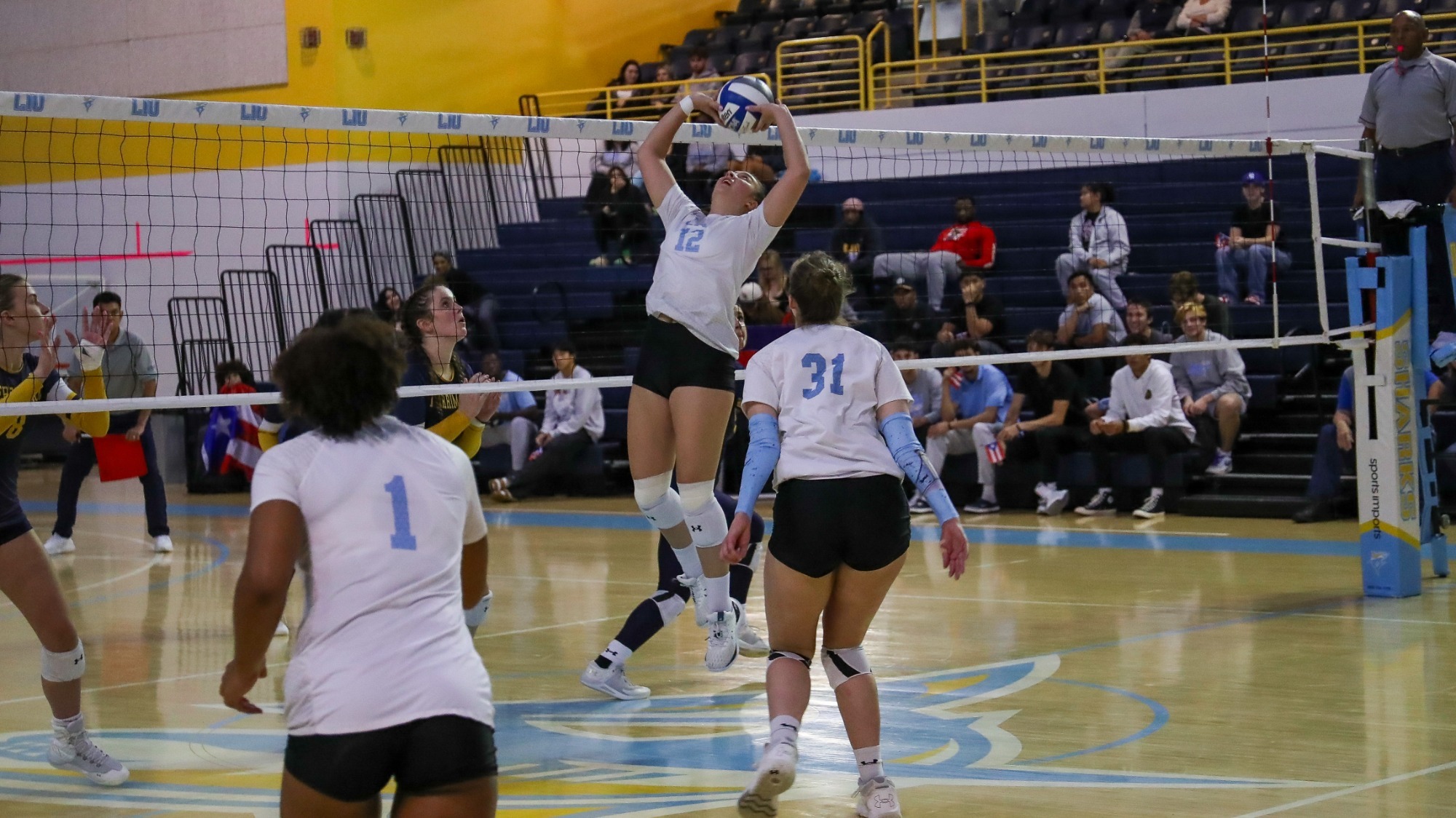 Long Island University Athletics