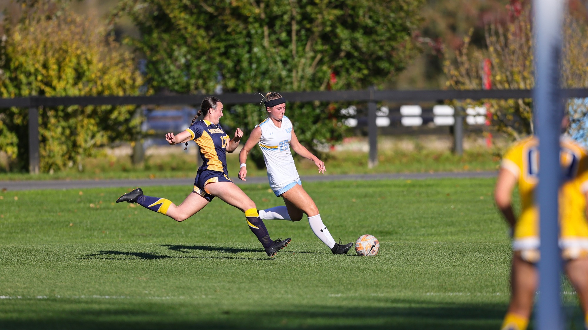 Long Island University Athletics