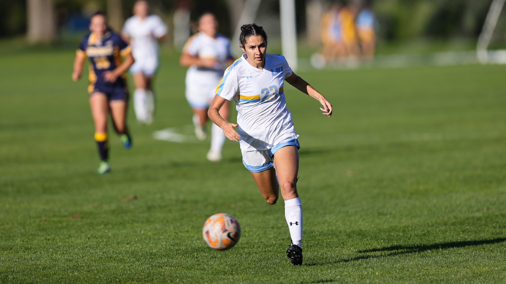 Long Island University Athletics