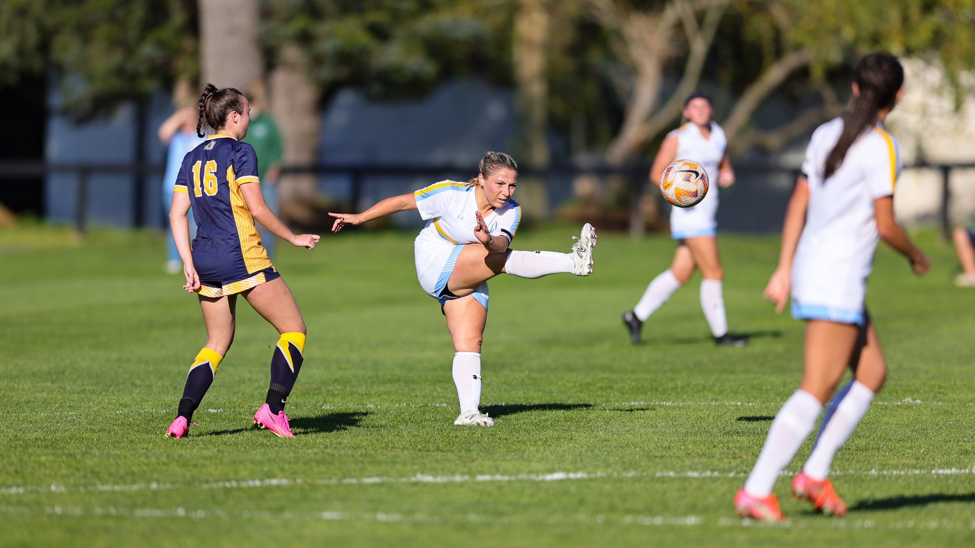 Long Island University Athletics