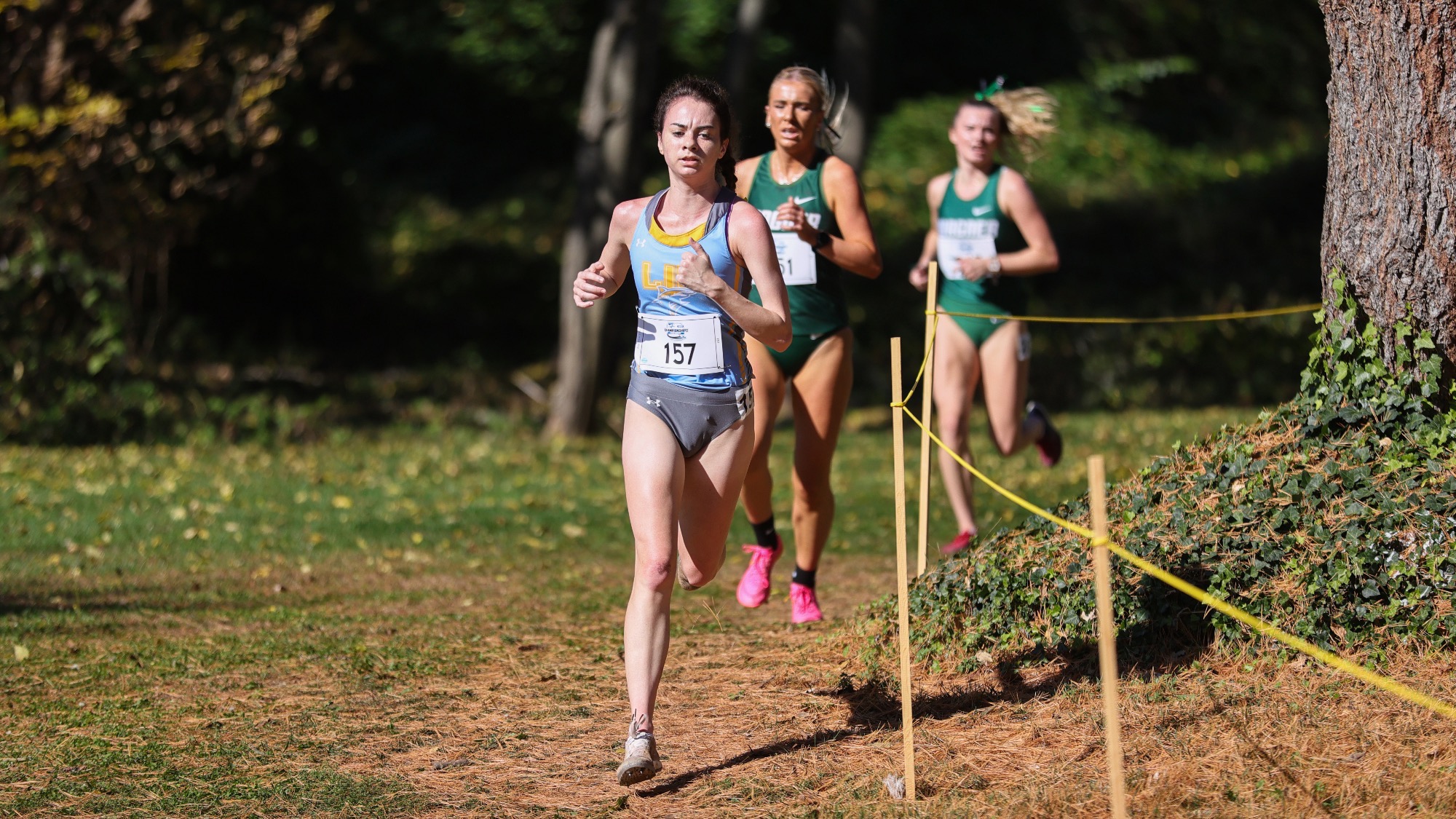 Long Island University Athletics