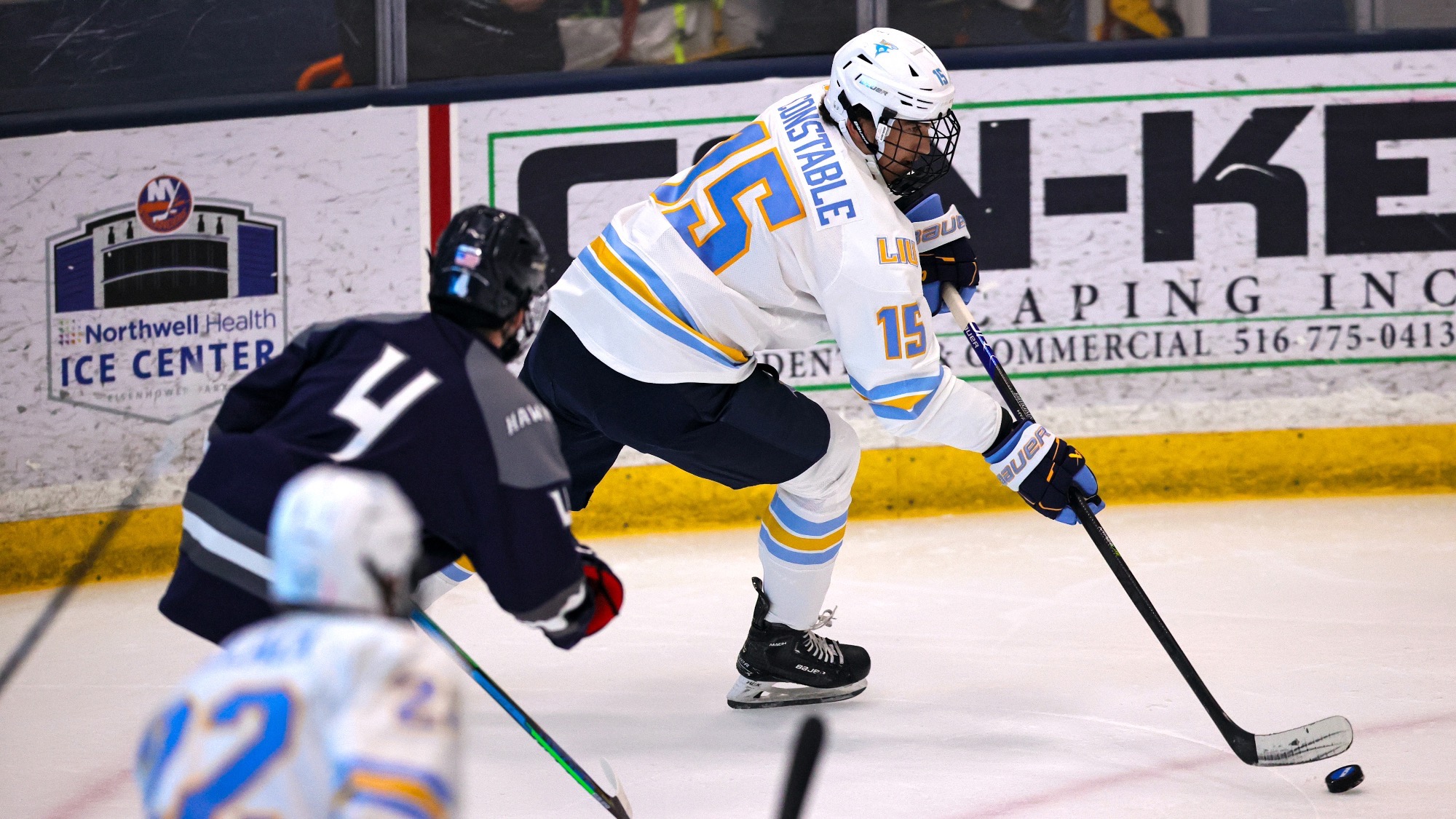 Long Island University Athletics