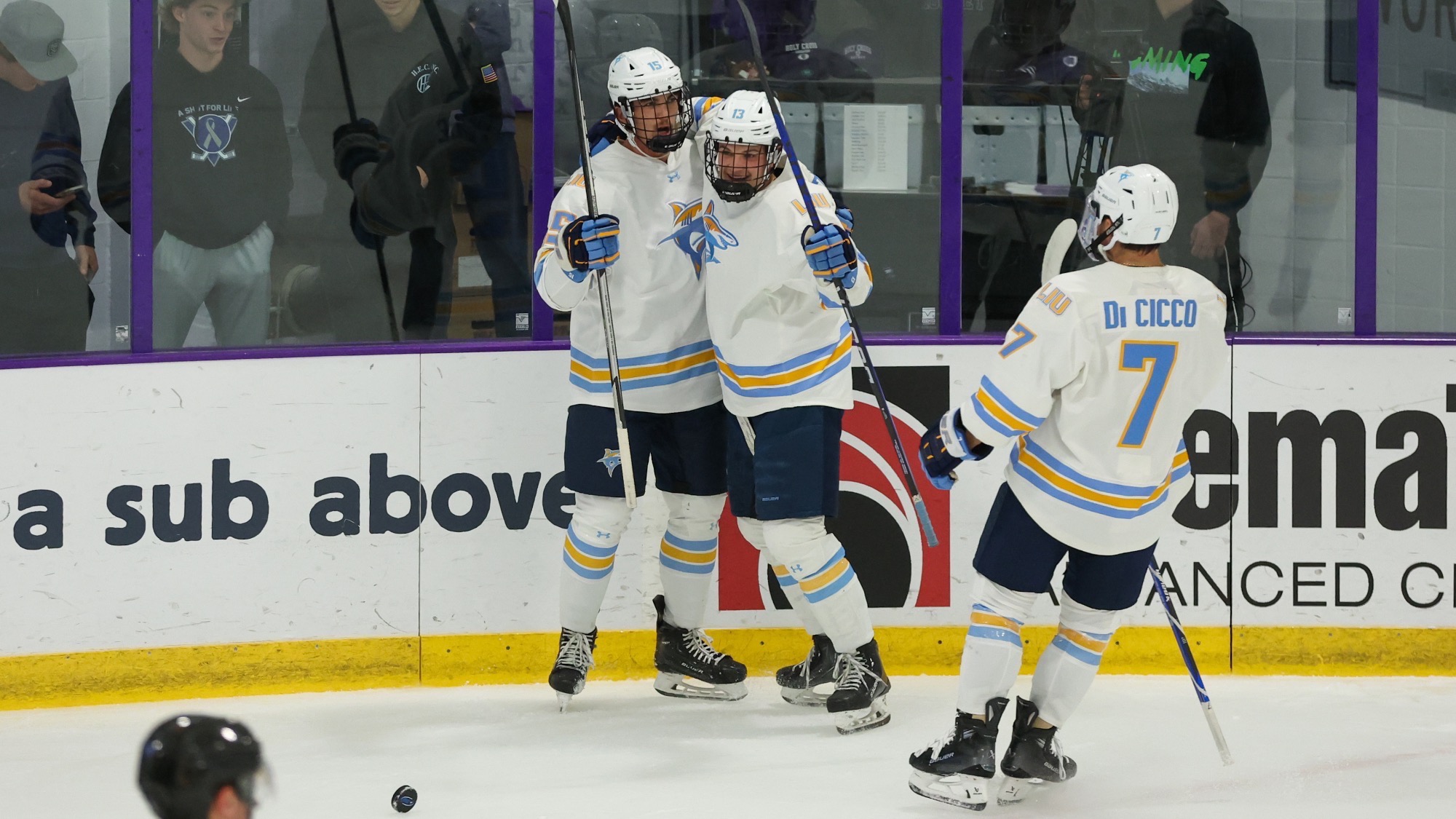 Long Island University Athletics