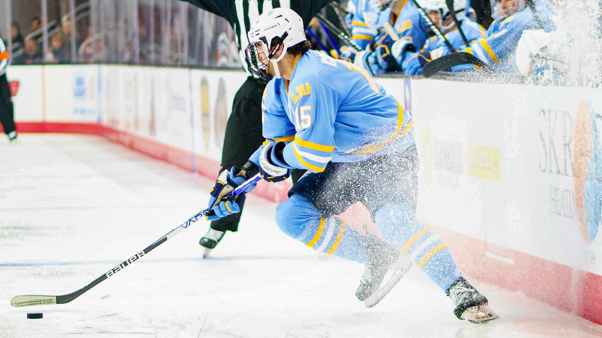 Long Island University Athletics